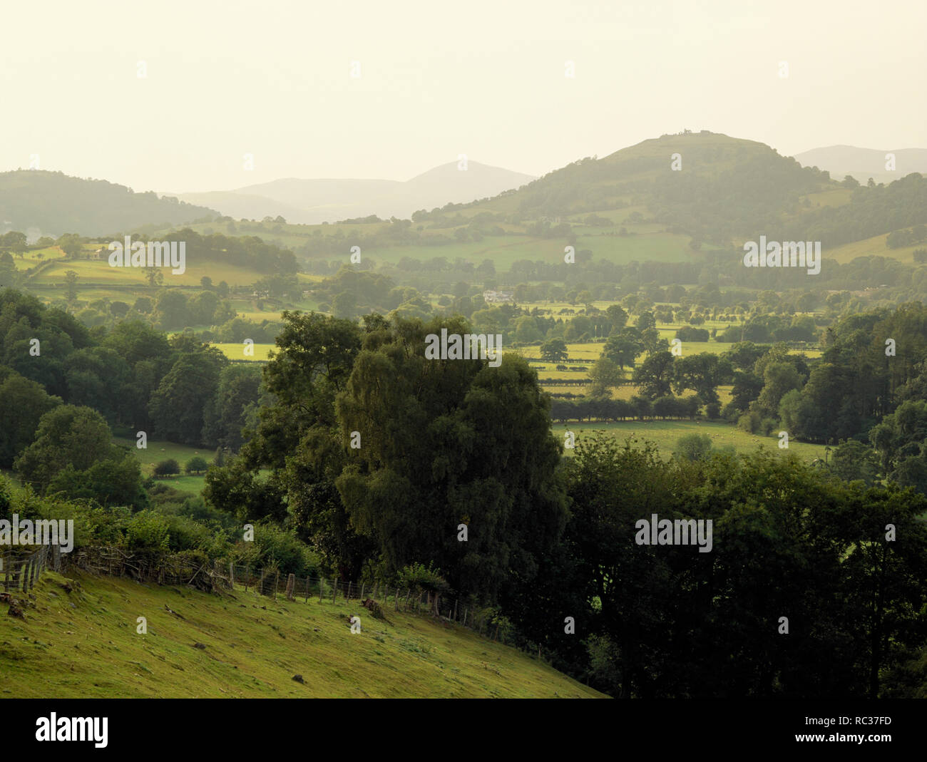 Medieval earthwork castle hi-res stock photography and images - Alamy