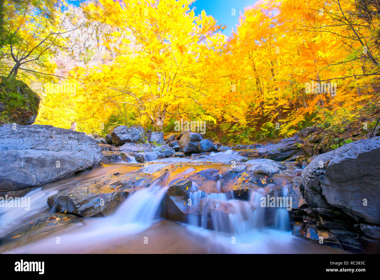 Slow autumn color hi-res stock photography and images - Alamy