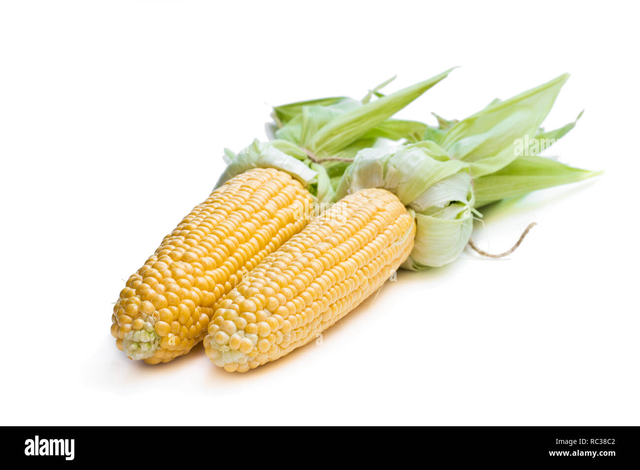 Fresh corn on the cob isolated on white Stock Photo - Alamy