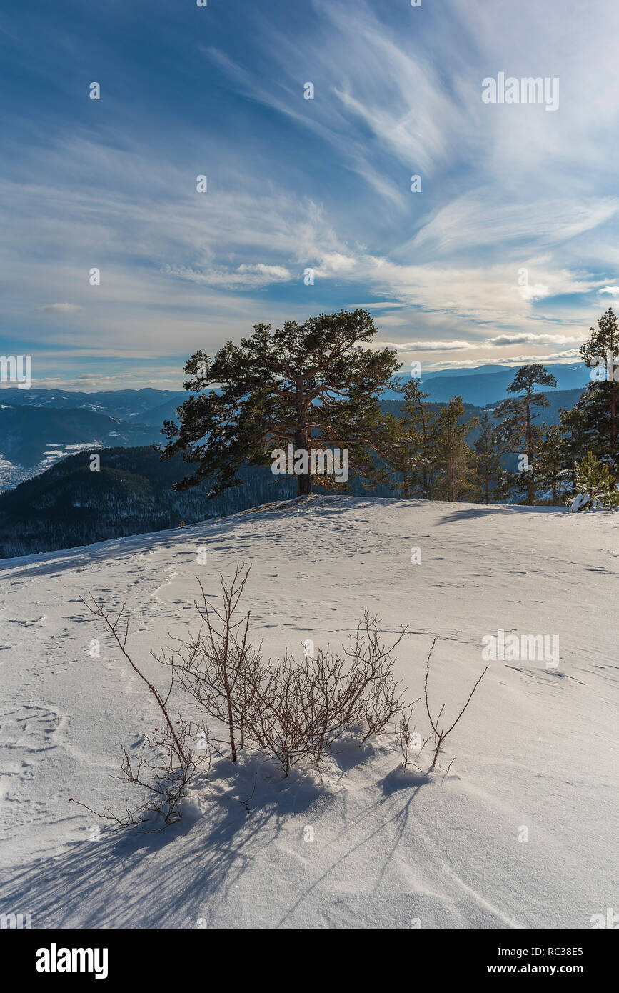 Snowy winter in mountain Rhodope in Bulgaria Stock Photo - Alamy