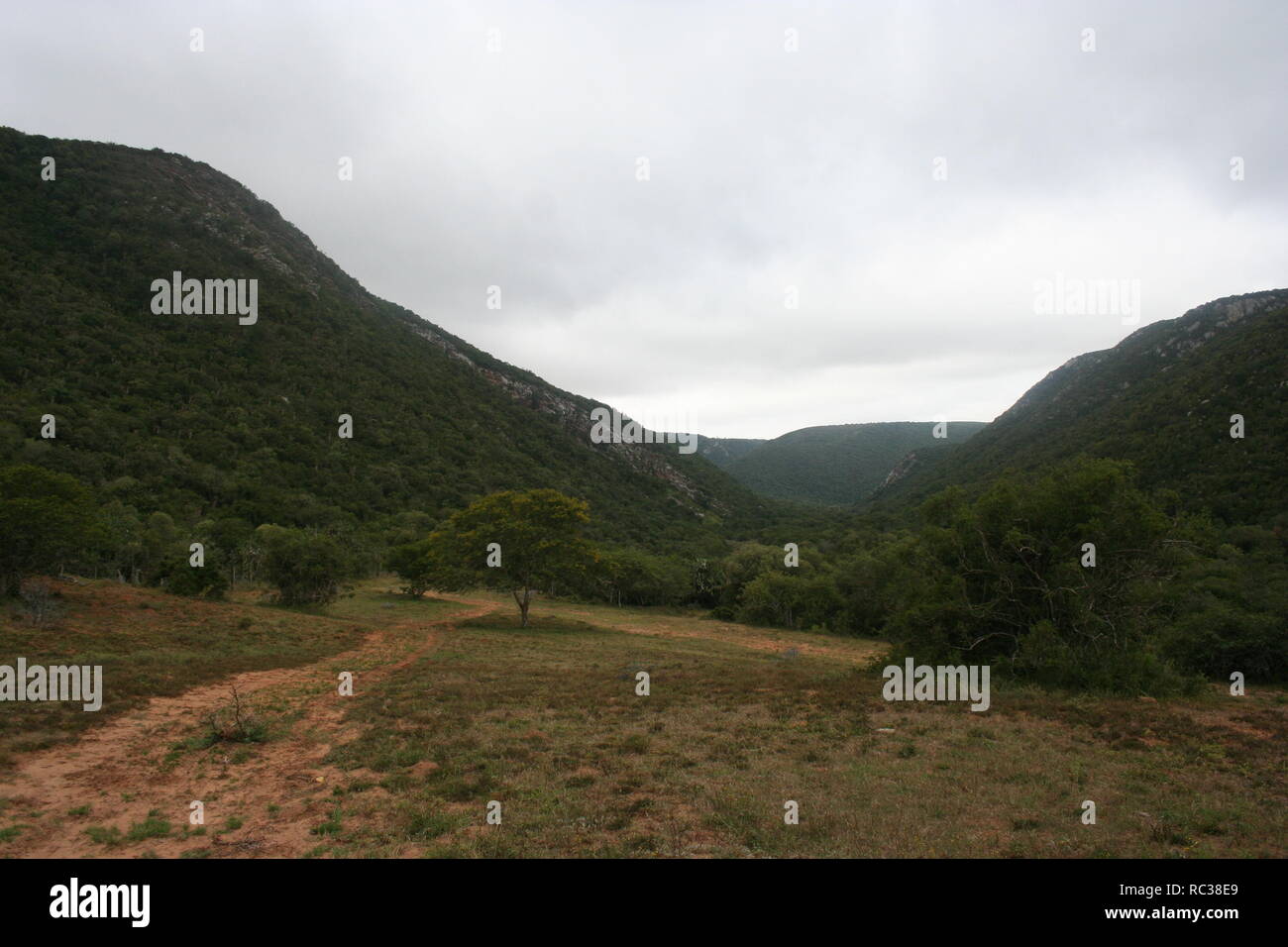 Nature in the Eastern Cape Stock Photo - Alamy