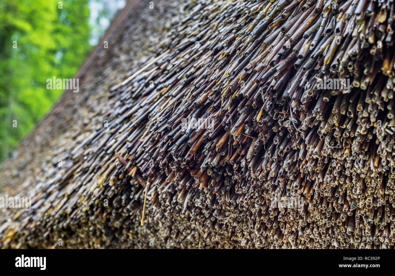 Straw roof of a countryside house Stock Photo - Alamy