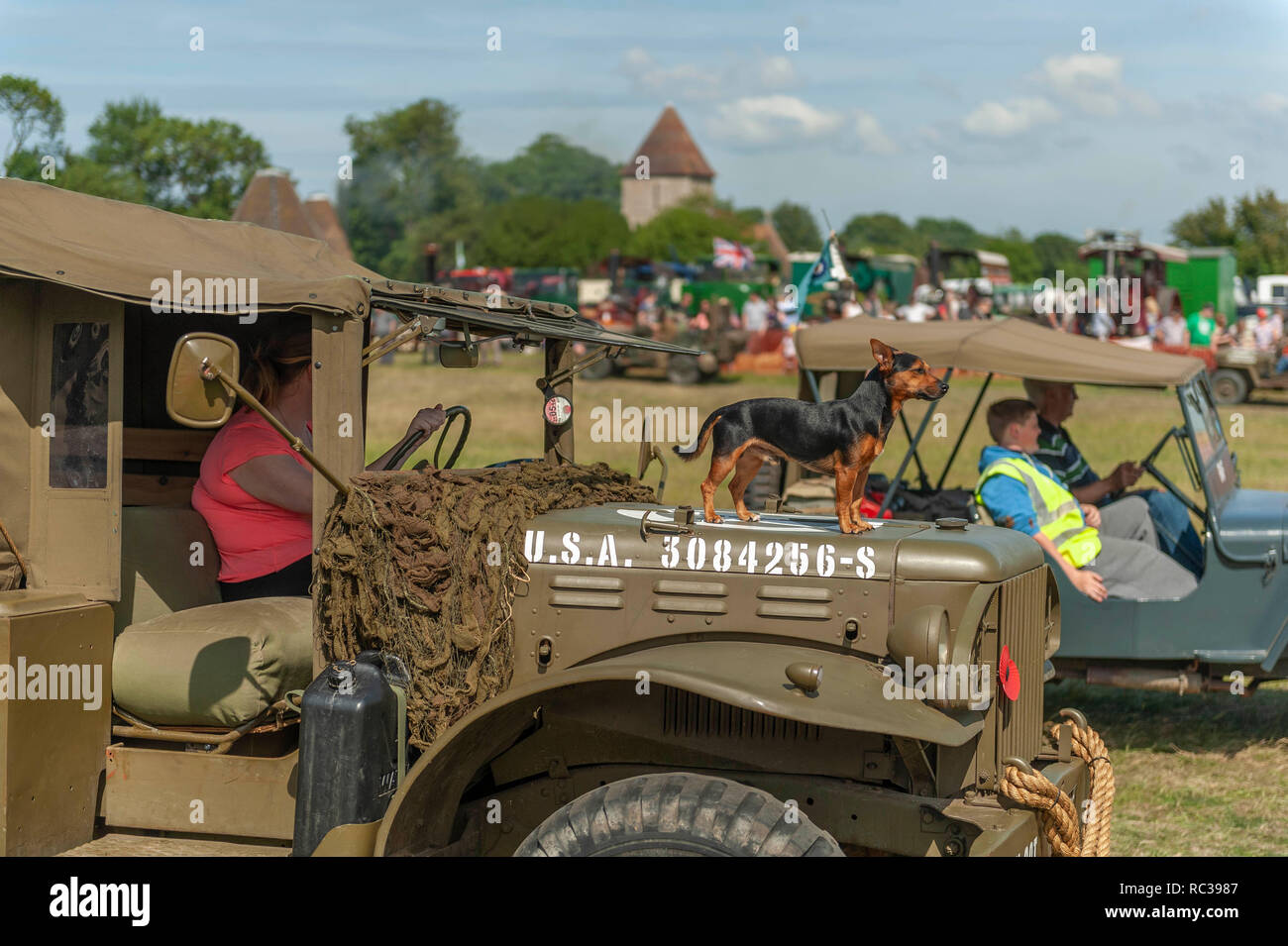 Ww2 restored willys jeep hi-res stock photography and images - Alamy
