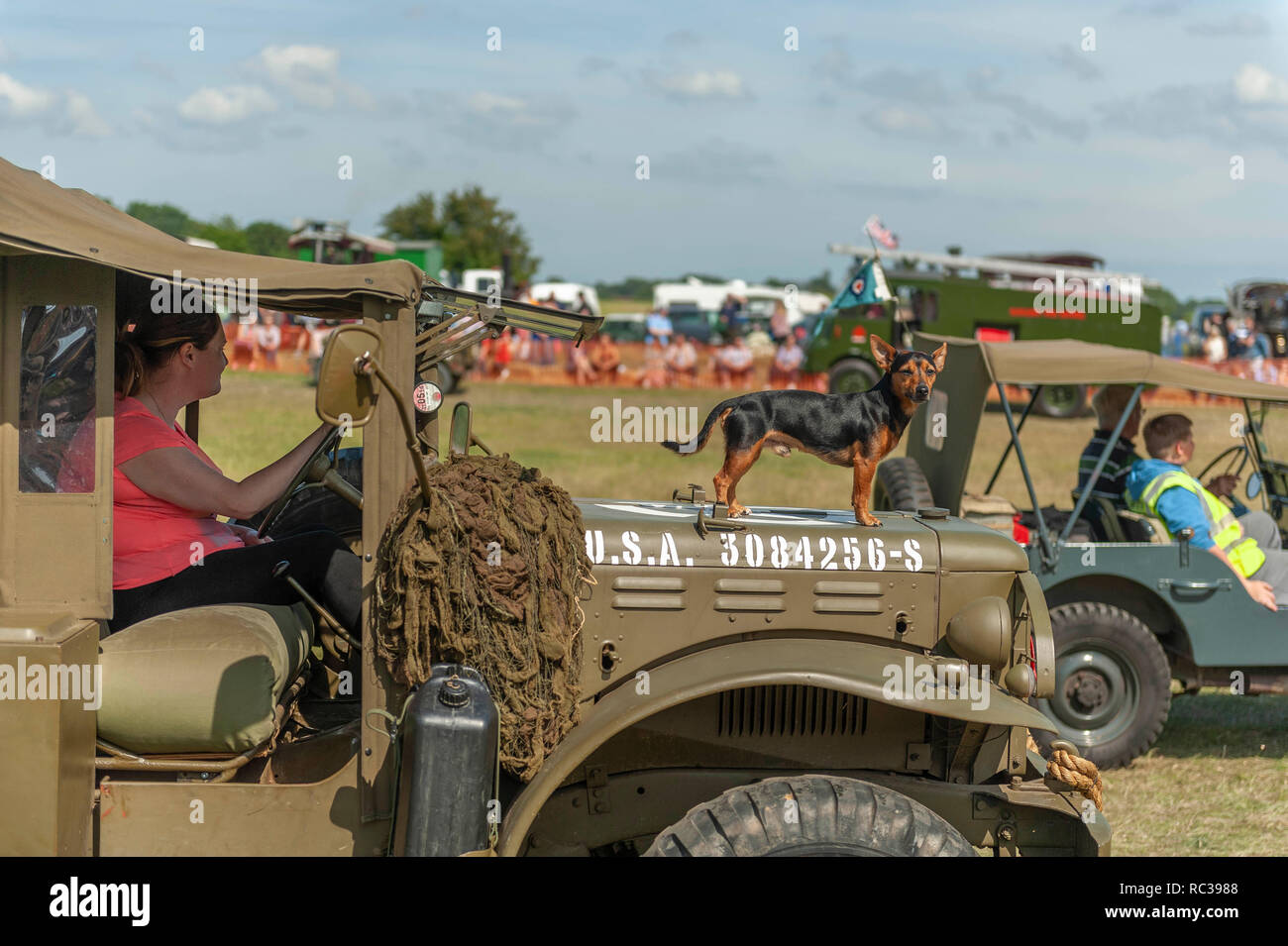 Restored Willys U.S. Army Jeep at Preston Steam Rally Stock Photo - Alamy