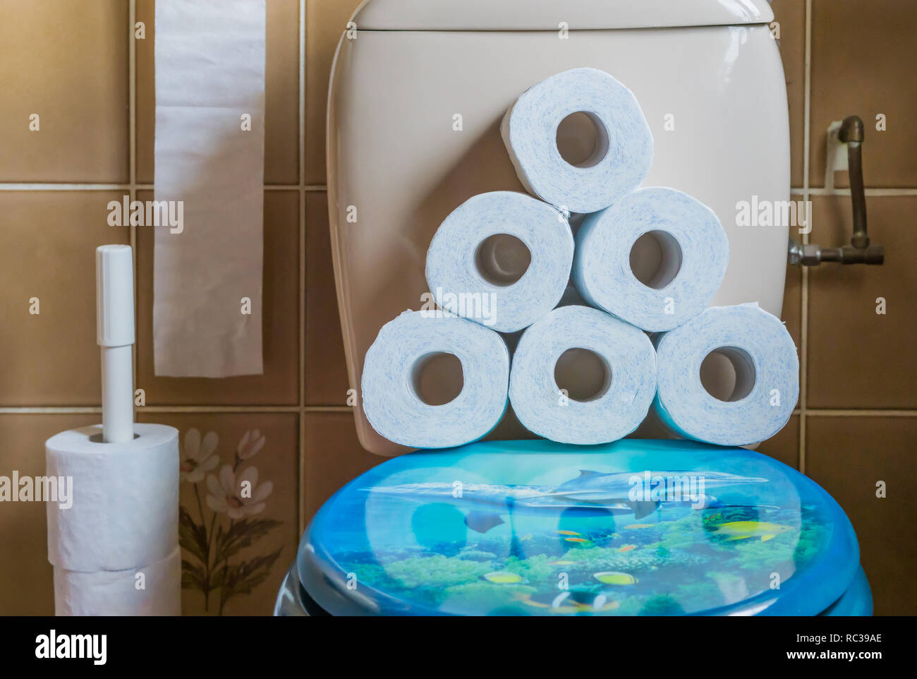 pile of stacked toilet paper on the water closet seat, interior of a ...