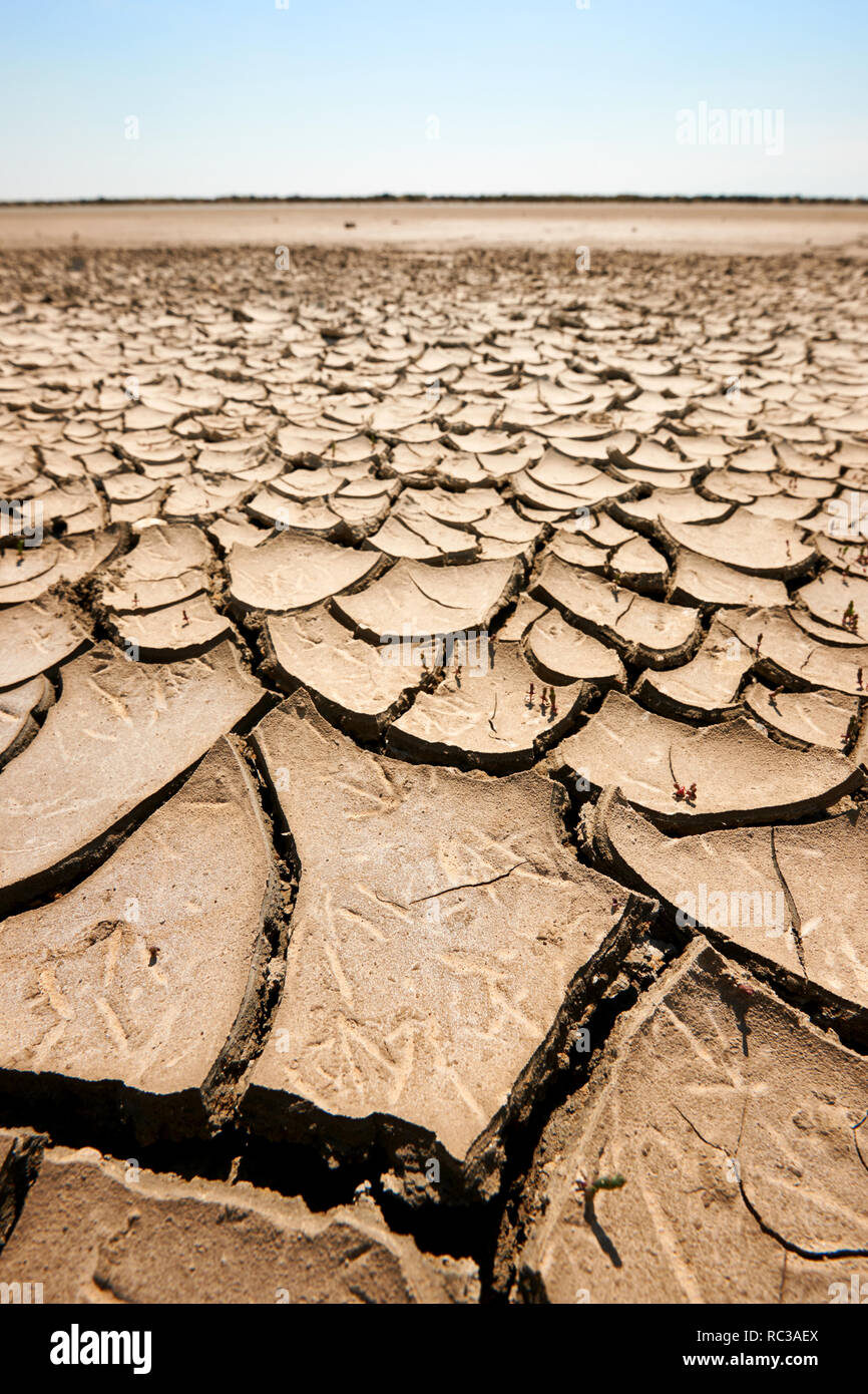 Earth and sand desert with birds footprints Stock Photo - Alamy