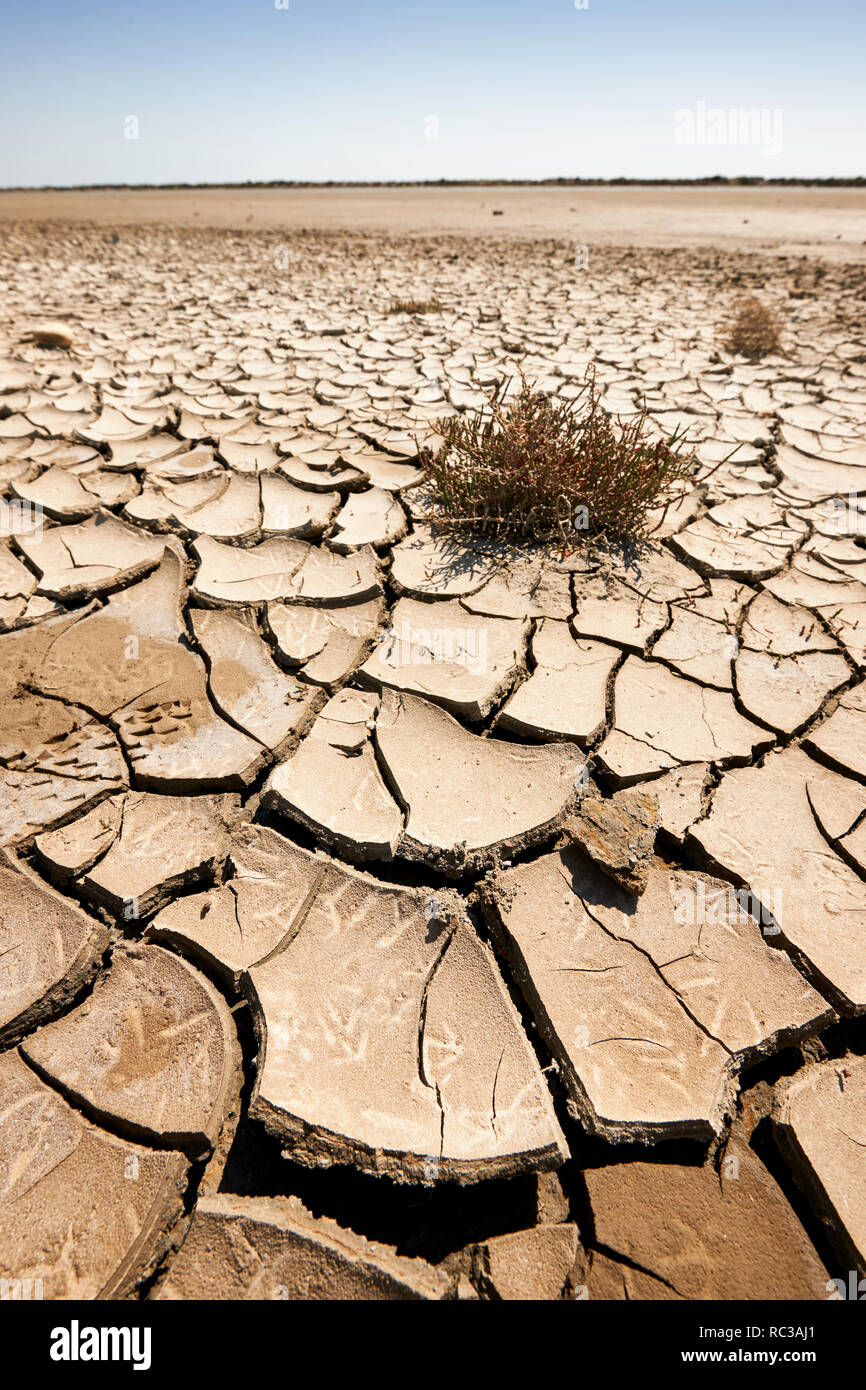 Earth and sand desert with footprints departing Stock Photo - Alamy