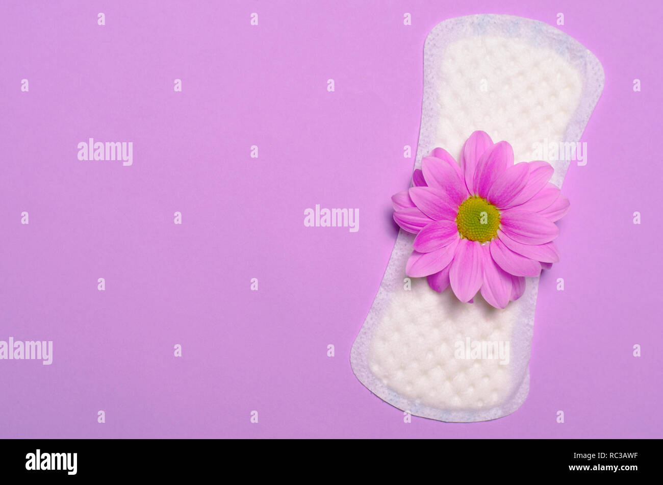 Woman's Sanitary Pad and Gerbera Daisy Flower on Pink Background ...