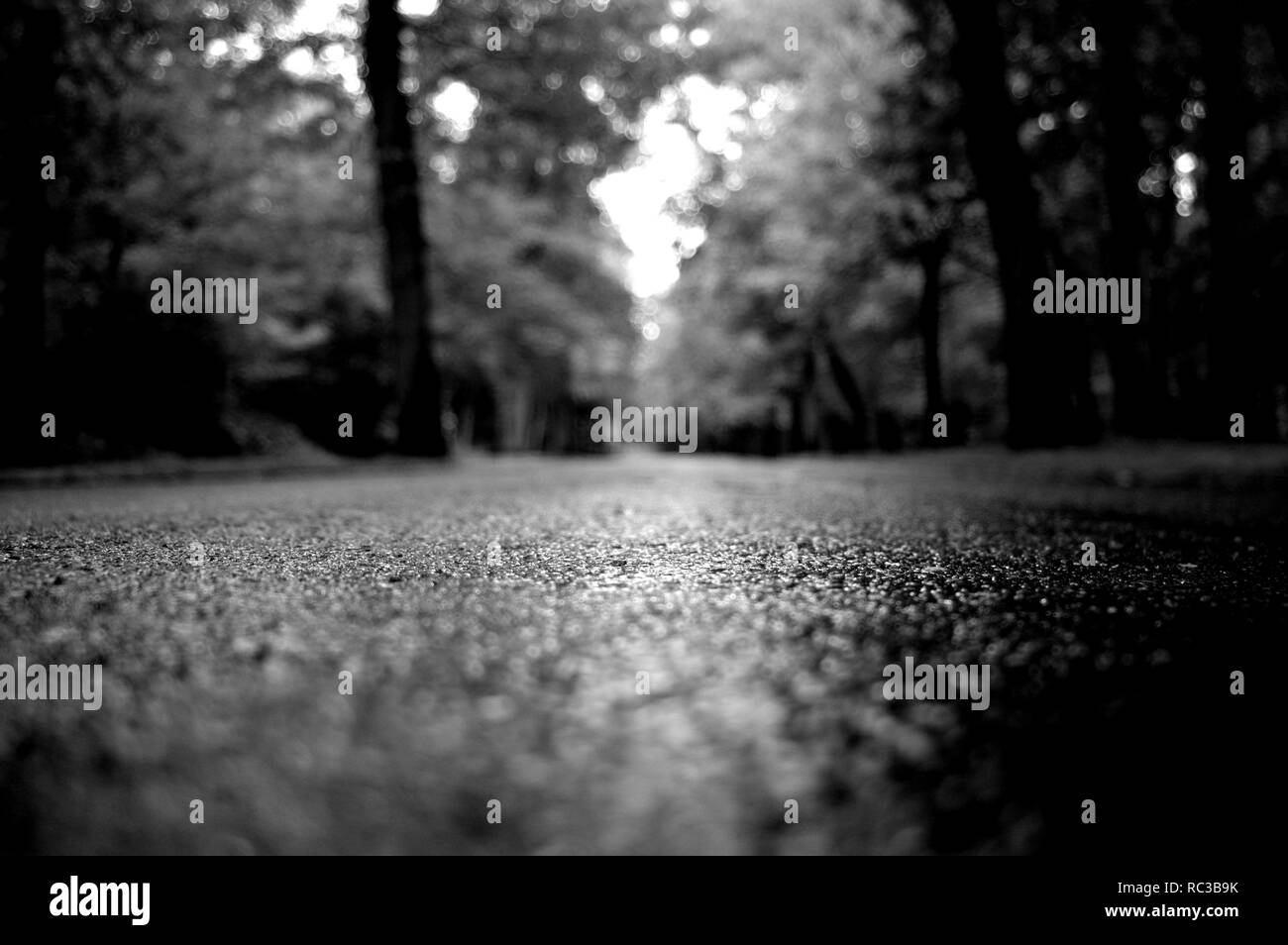 Low angle view sign Black and White Stock Photos & Images - Alamy