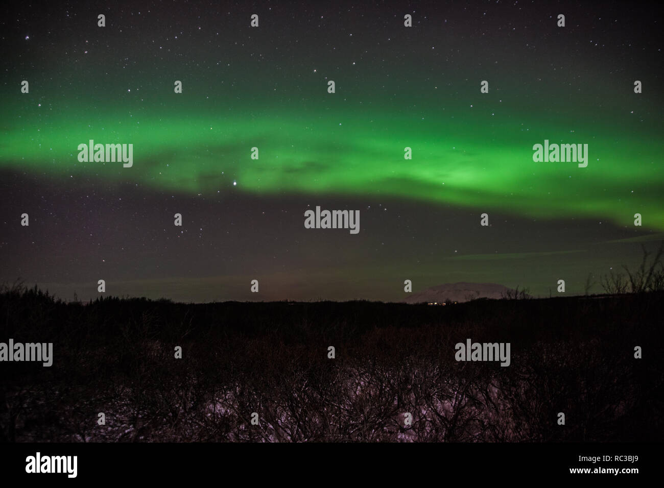 Northern Lights light out the dark night in iceland, with 1000's of ...