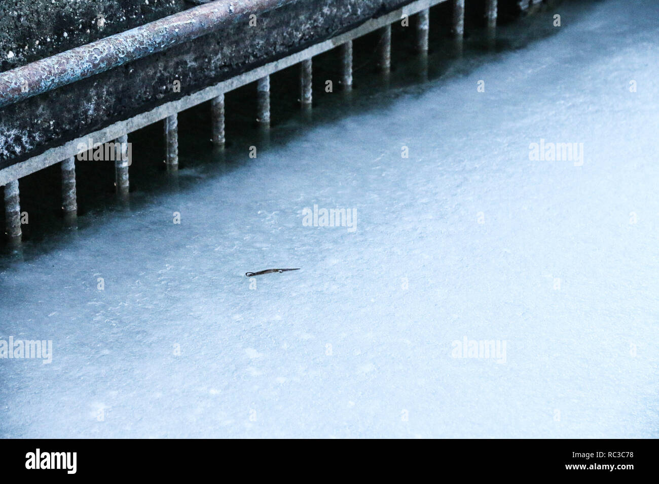 Frozen Gate High Resolution Stock Photography and Images - Alamy