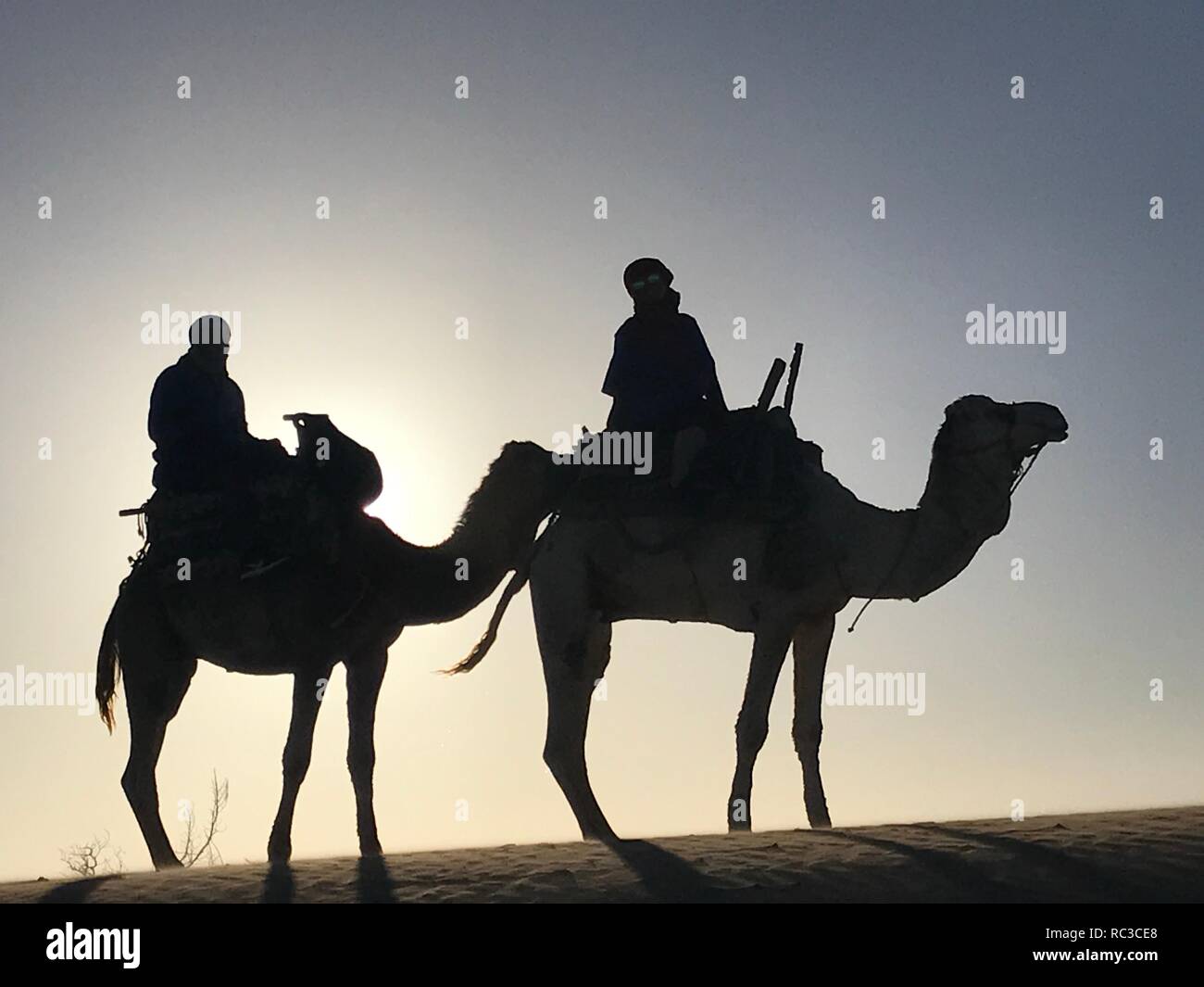Camel tours hi-res stock photography and images - Alamy
