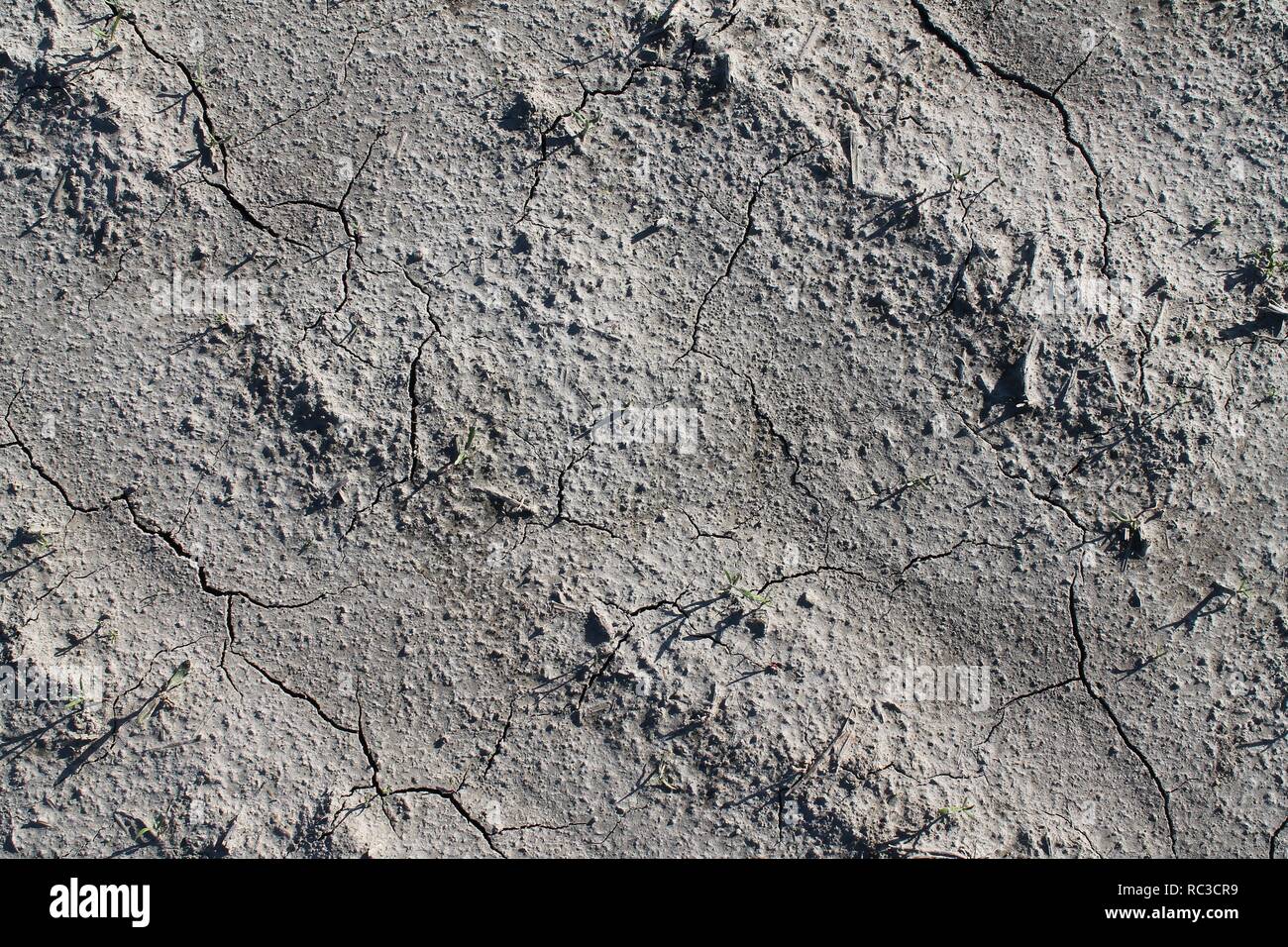 Close up high resolution surface of sand and dirt Stock Photo - Alamy