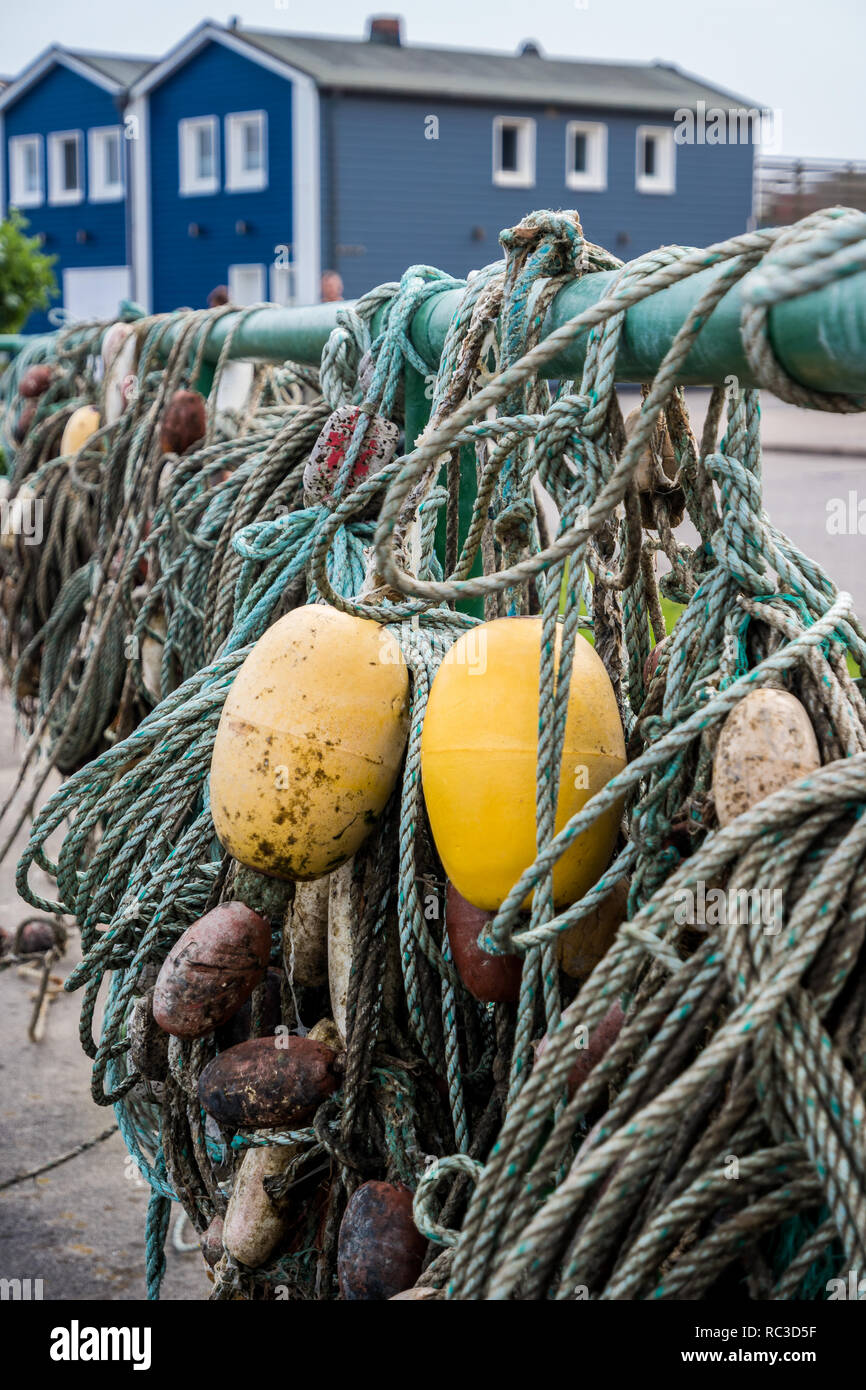 Crab stands hi-res stock photography and images - Alamy