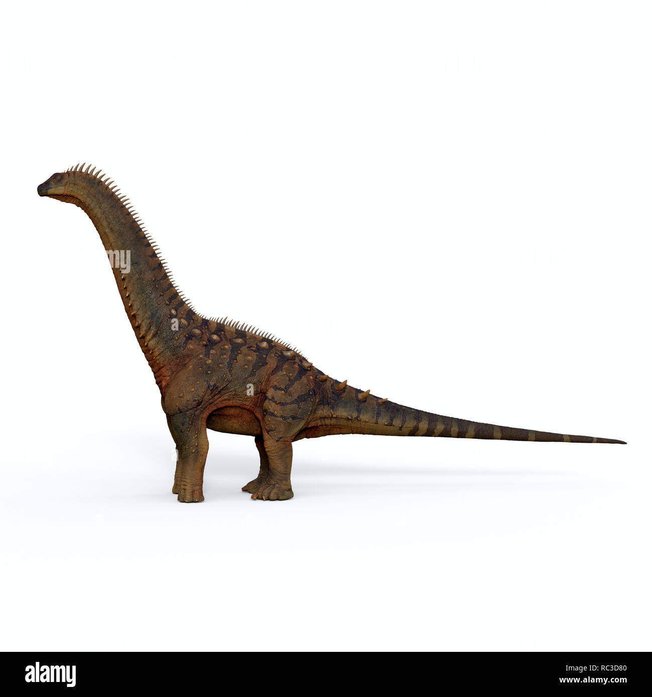 Alamosaurus Dinosaur - Alamosaurus was a titanosaur sauropod ...