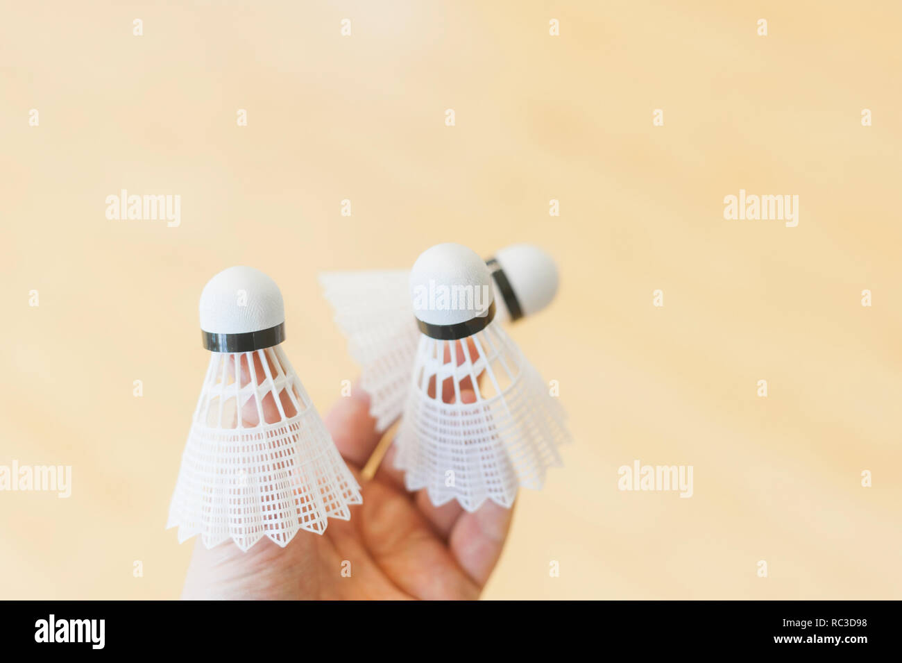 Player preparing to play badminton. Holding the shuttlecock Stock Photo ...