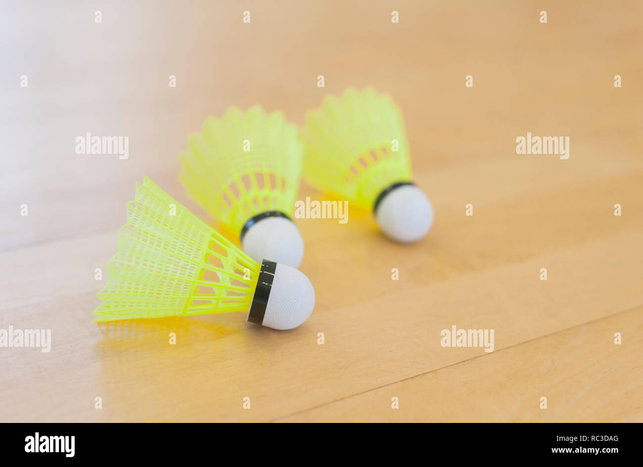 Yellow badminton shuttlecocks and line hall floor at badminton courts ...
