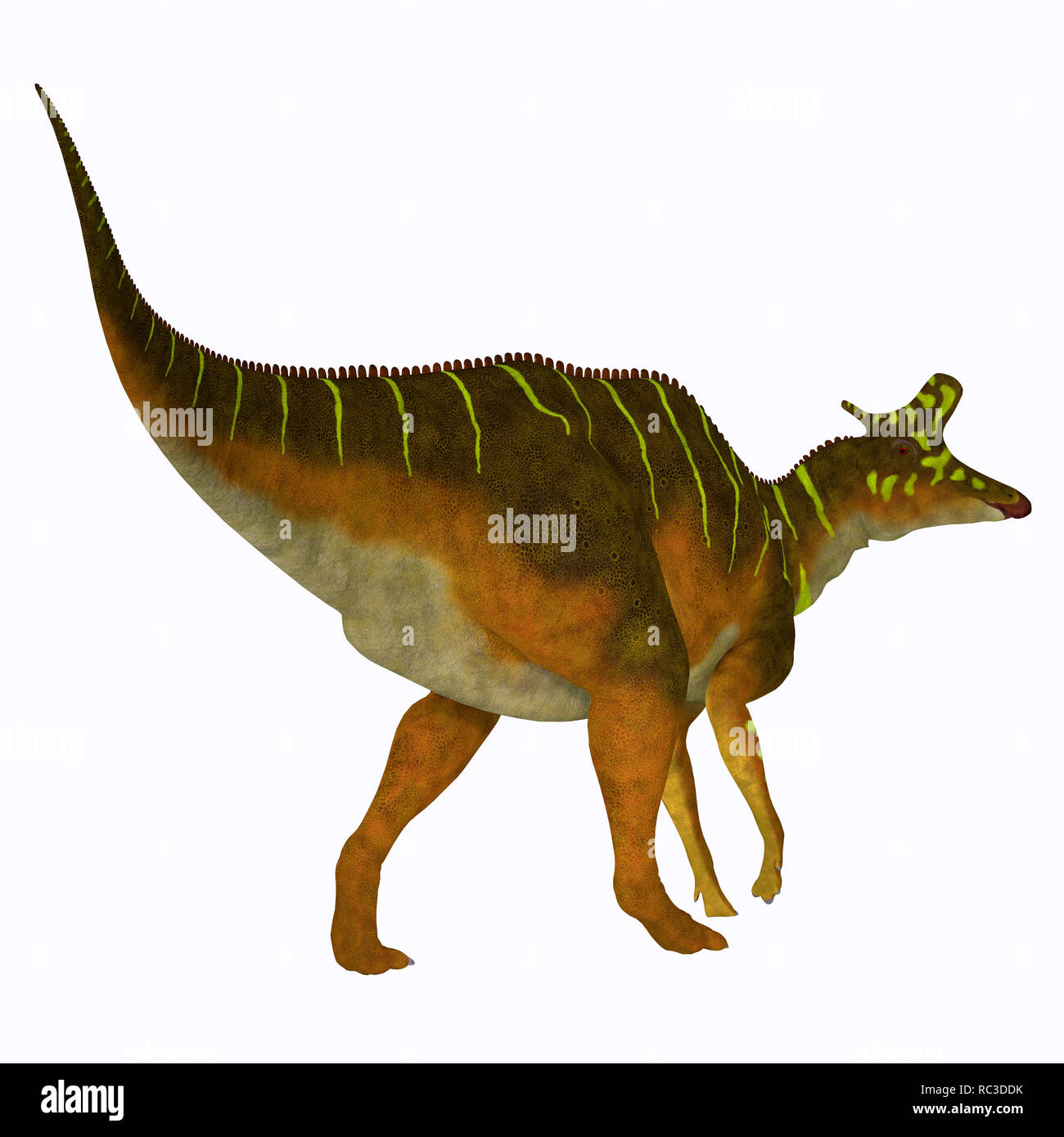 Lambeosaurus hi-res stock photography and images - Alamy