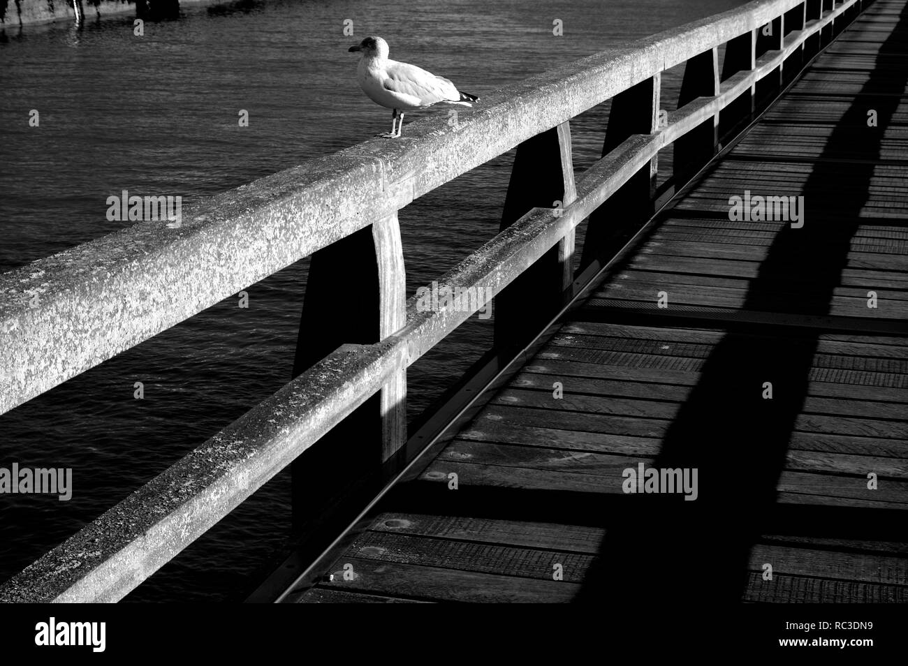 Highway bridge clear view Black and White Stock Photos & Images - Alamy