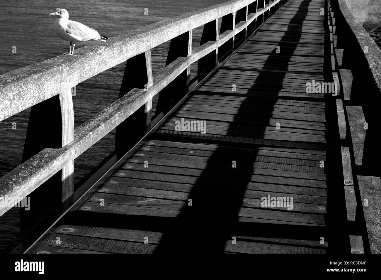 Highway bridge clear view Black and White Stock Photos & Images - Alamy