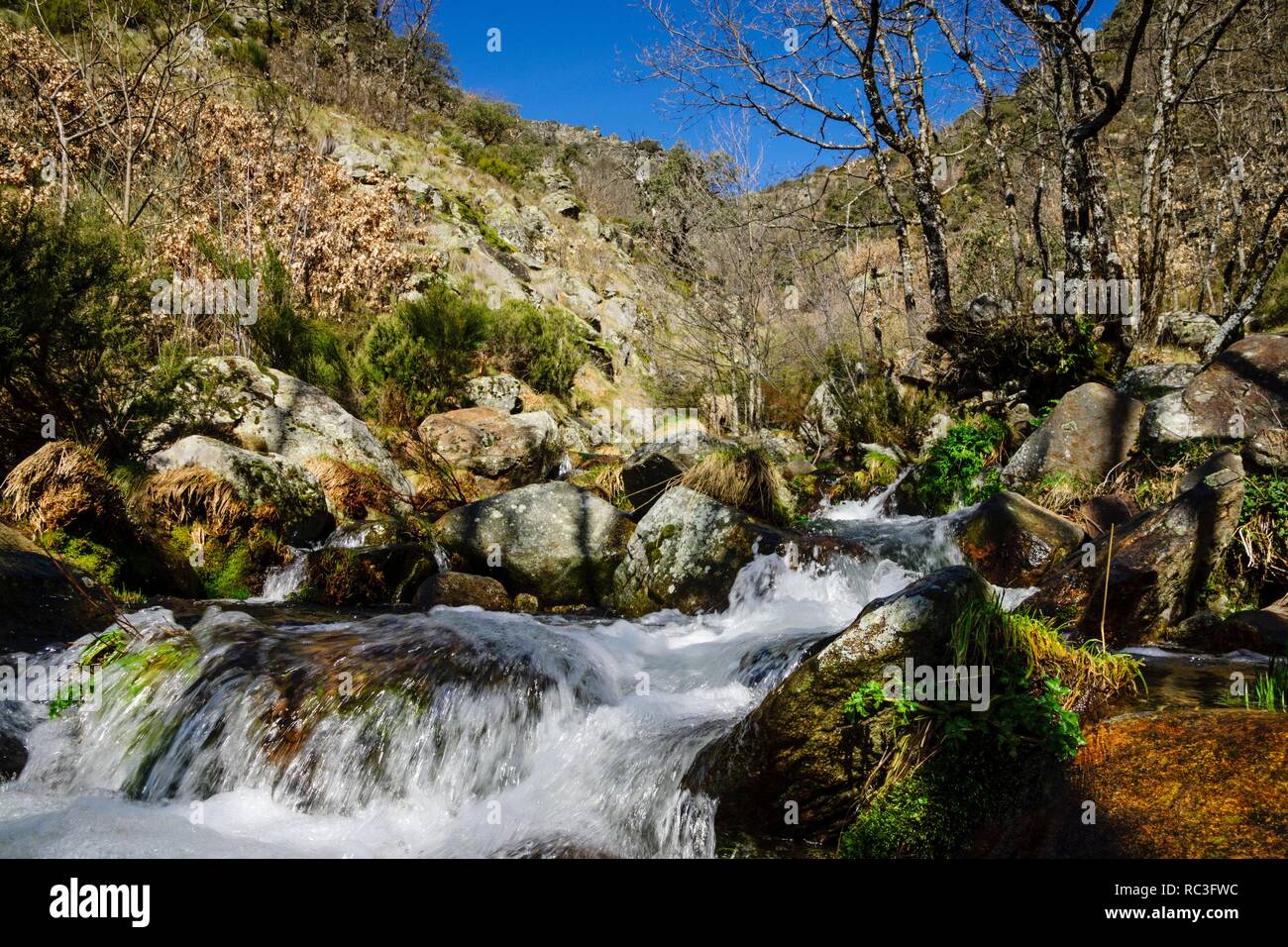 Horco del Rio,nacimiento del rio Jerte, reserva natural Garganta de los ...