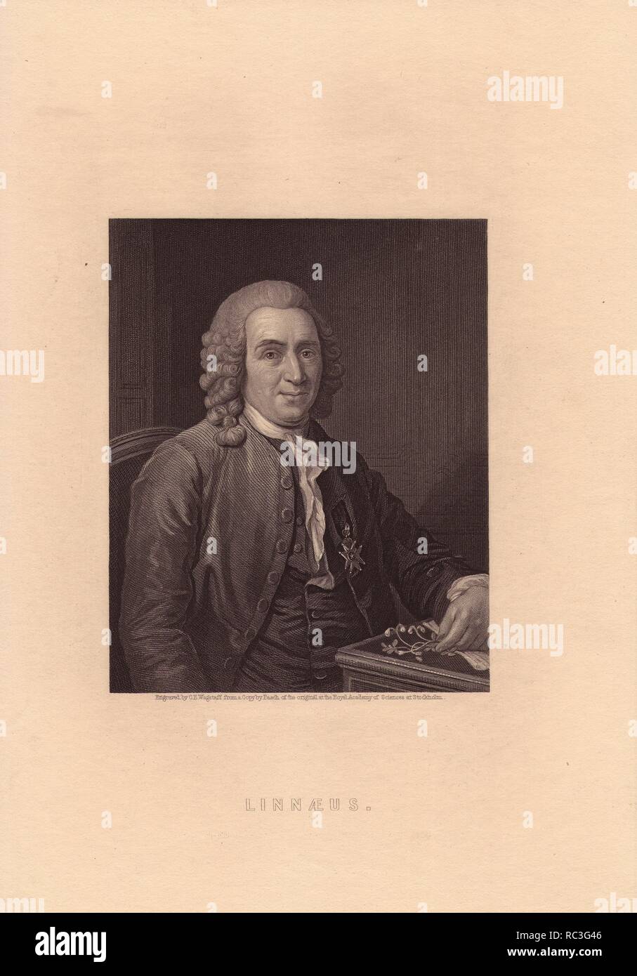 Carl Linnaeus (1707-1778), also known as Carl von Linné or Carolus ...