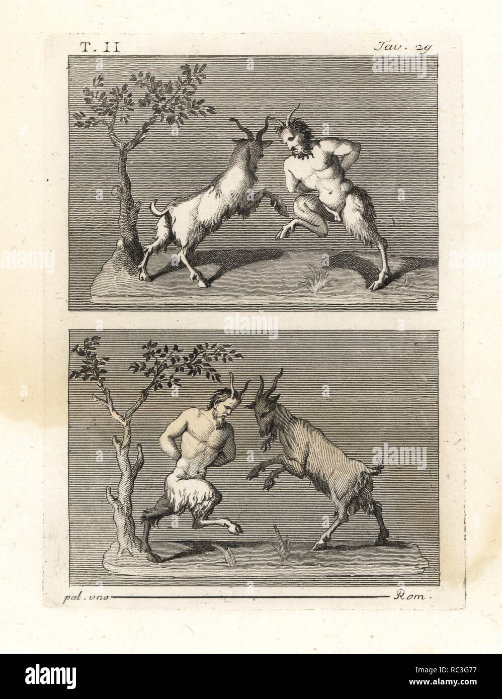 Two satyrs butting heads with goats. The rural god Pan is also depicted ...