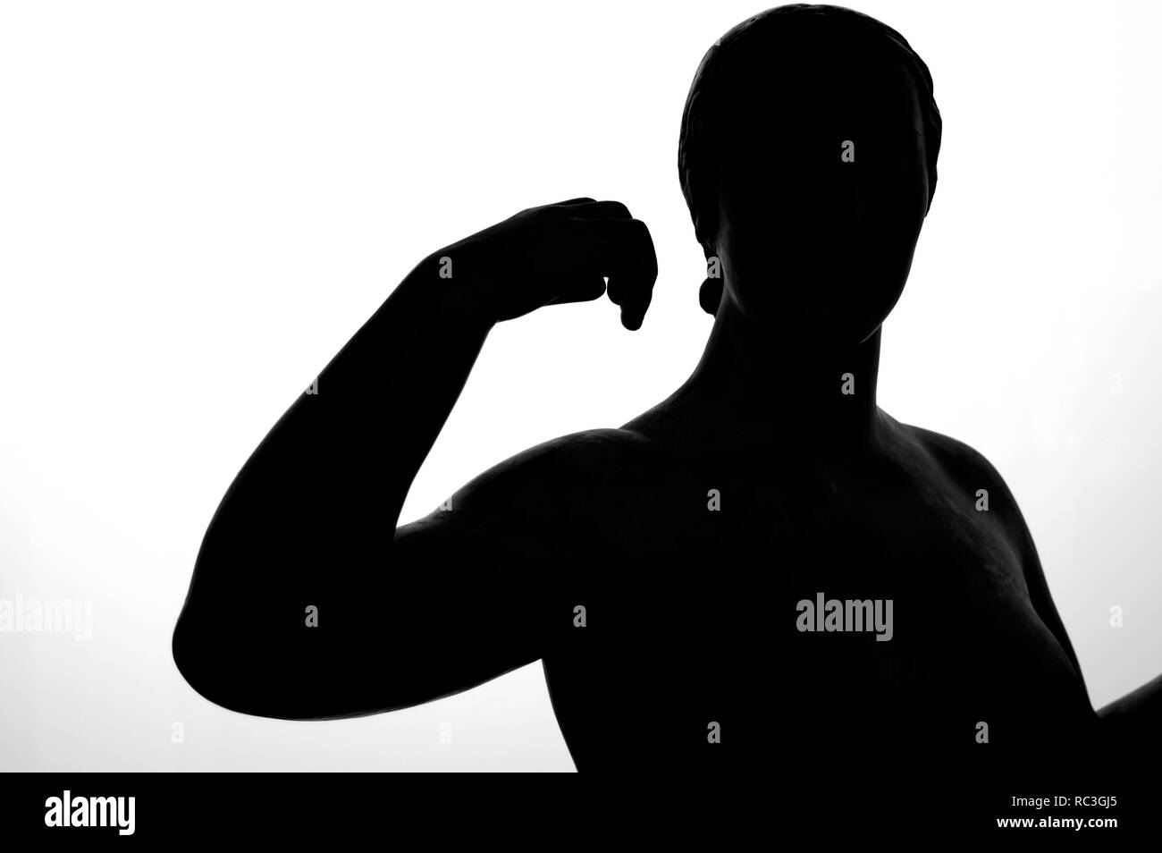 Silhouette of a statue Stock Photo - Alamy