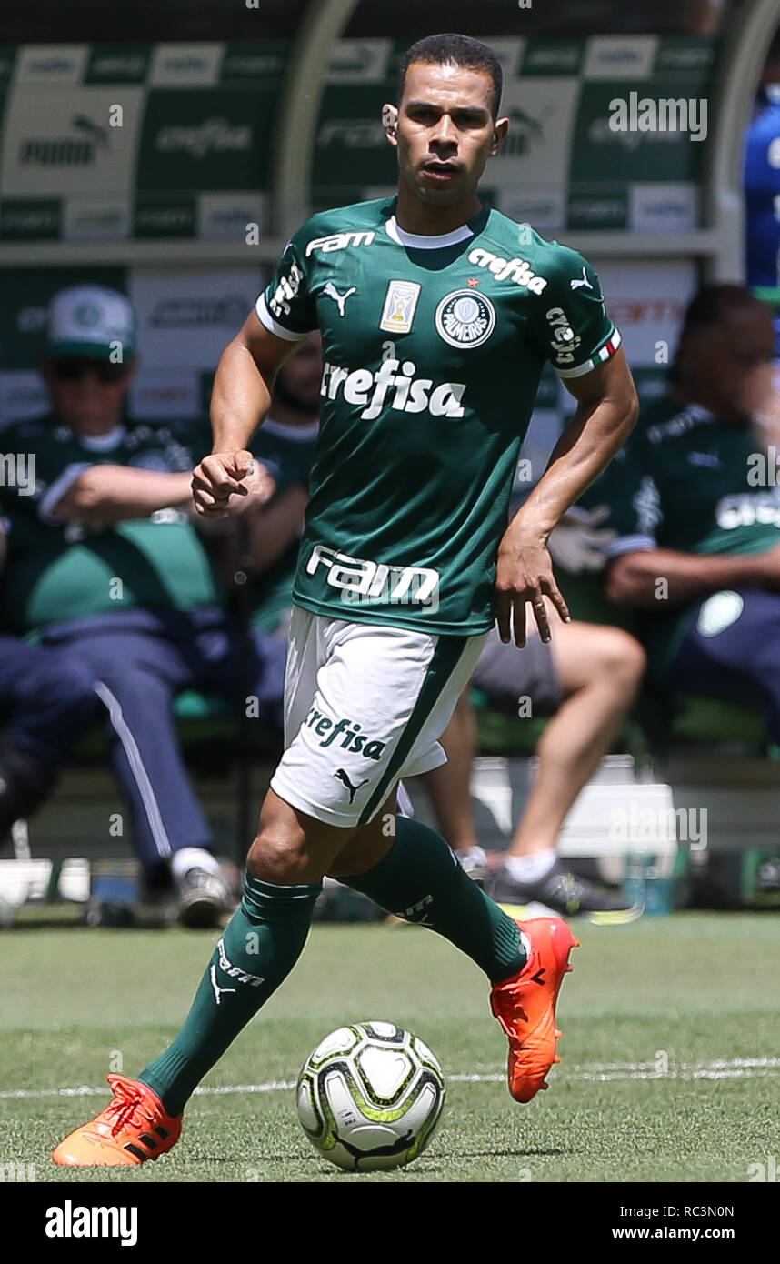 Sao Paulo, Brazil. 13th January 2019. AMIGOS DO ZÉ ROBERTO X PALMEIRAS ...