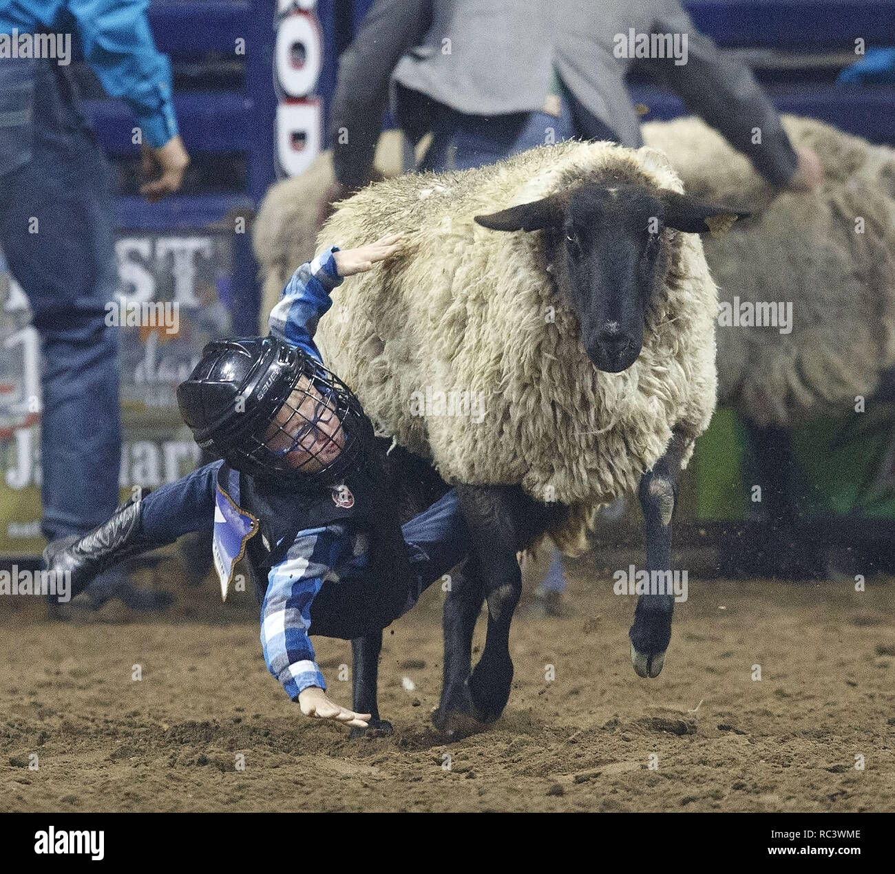Mutton bustin hi-res stock photography and images - Alamy