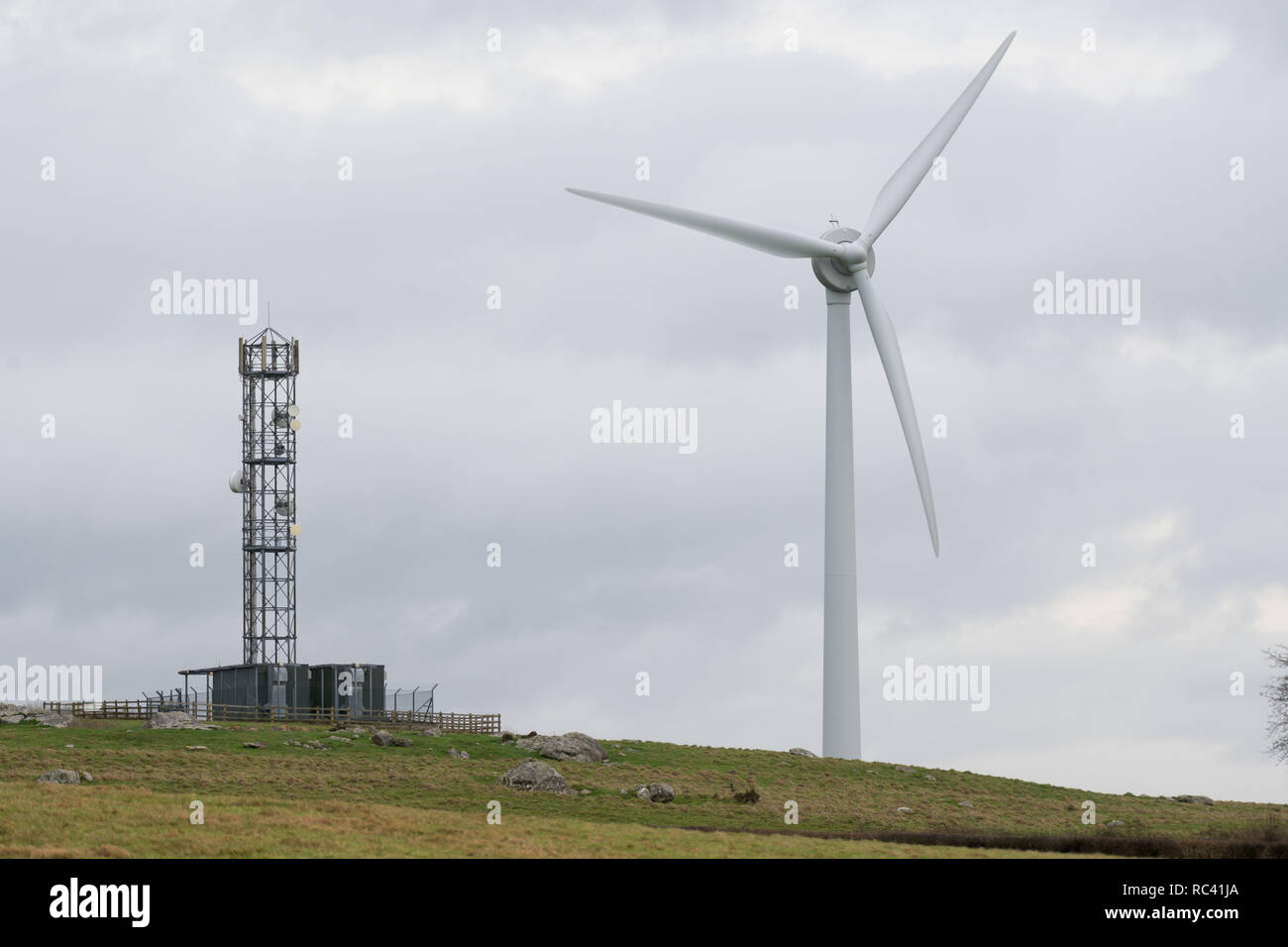 Bridgend farm hi-res stock photography and images - Alamy