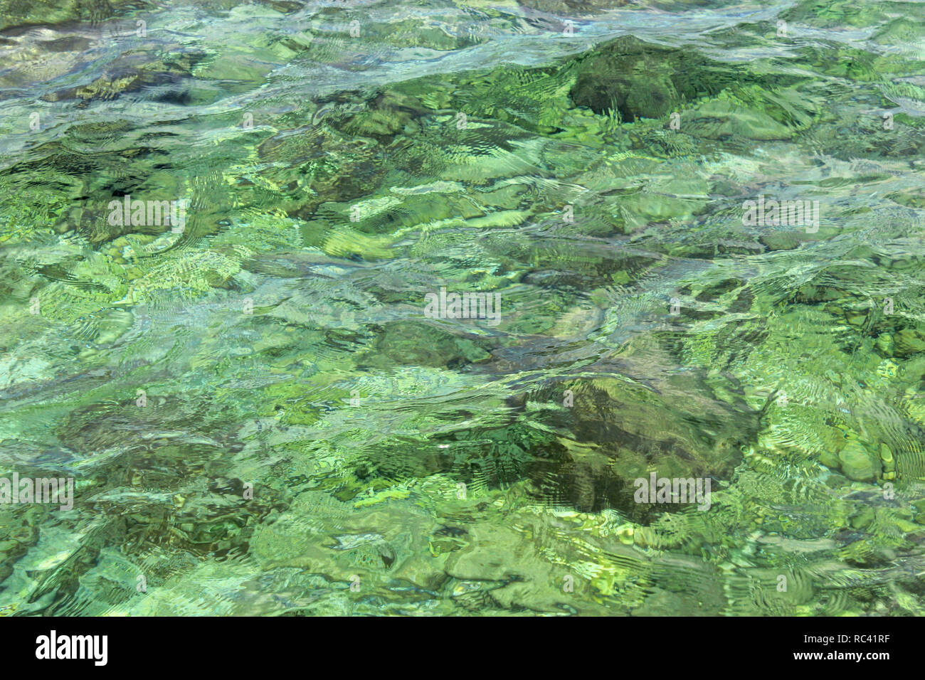 green ocean water, waves, shallow water Stock Photo - Alamy