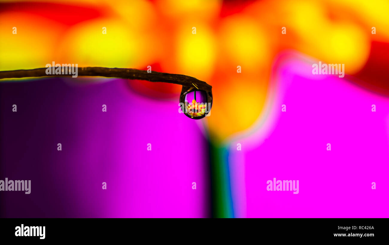 drop of water with reflection Stock Photo - Alamy