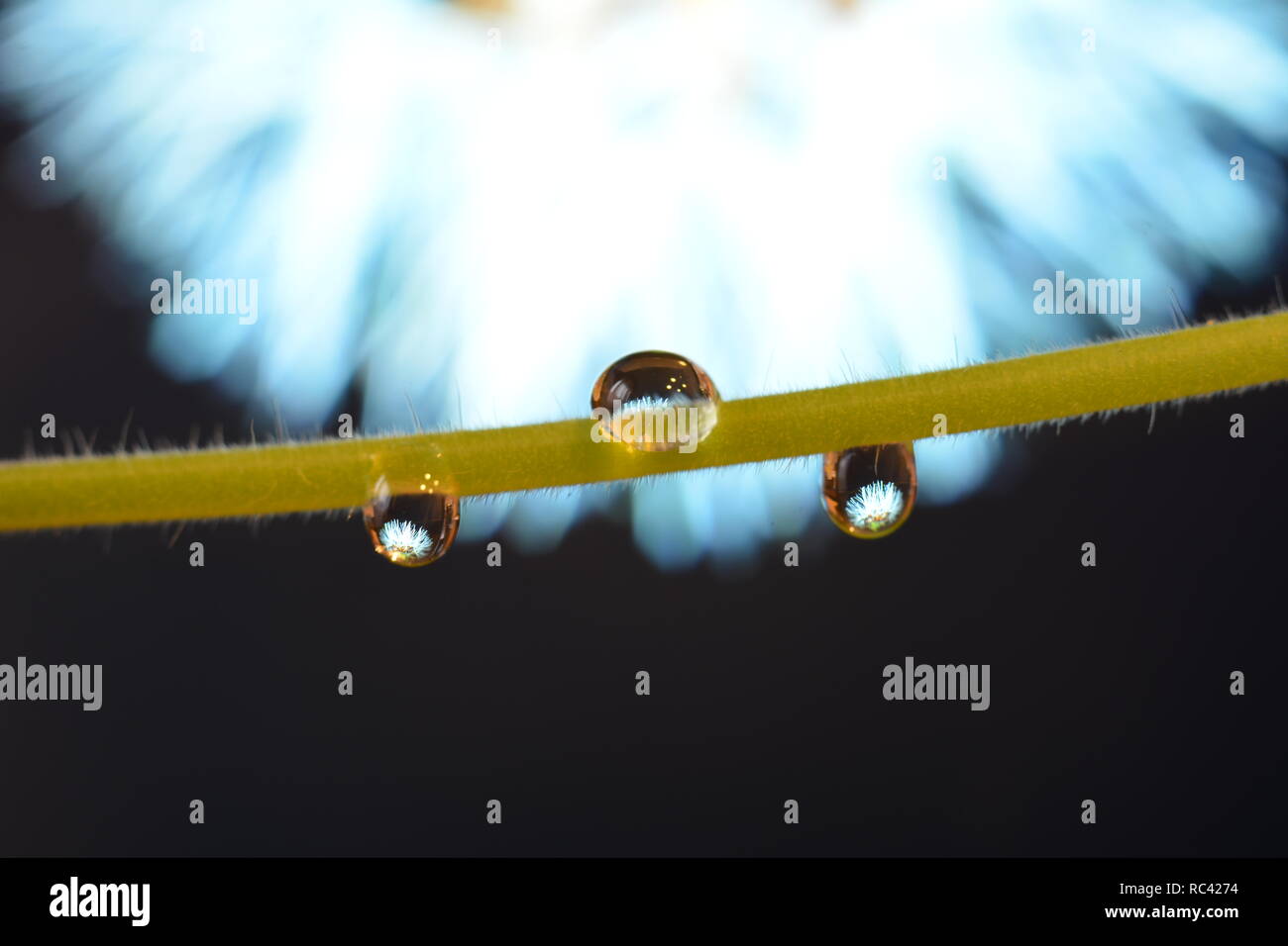 drop of water with reflection Stock Photo - Alamy