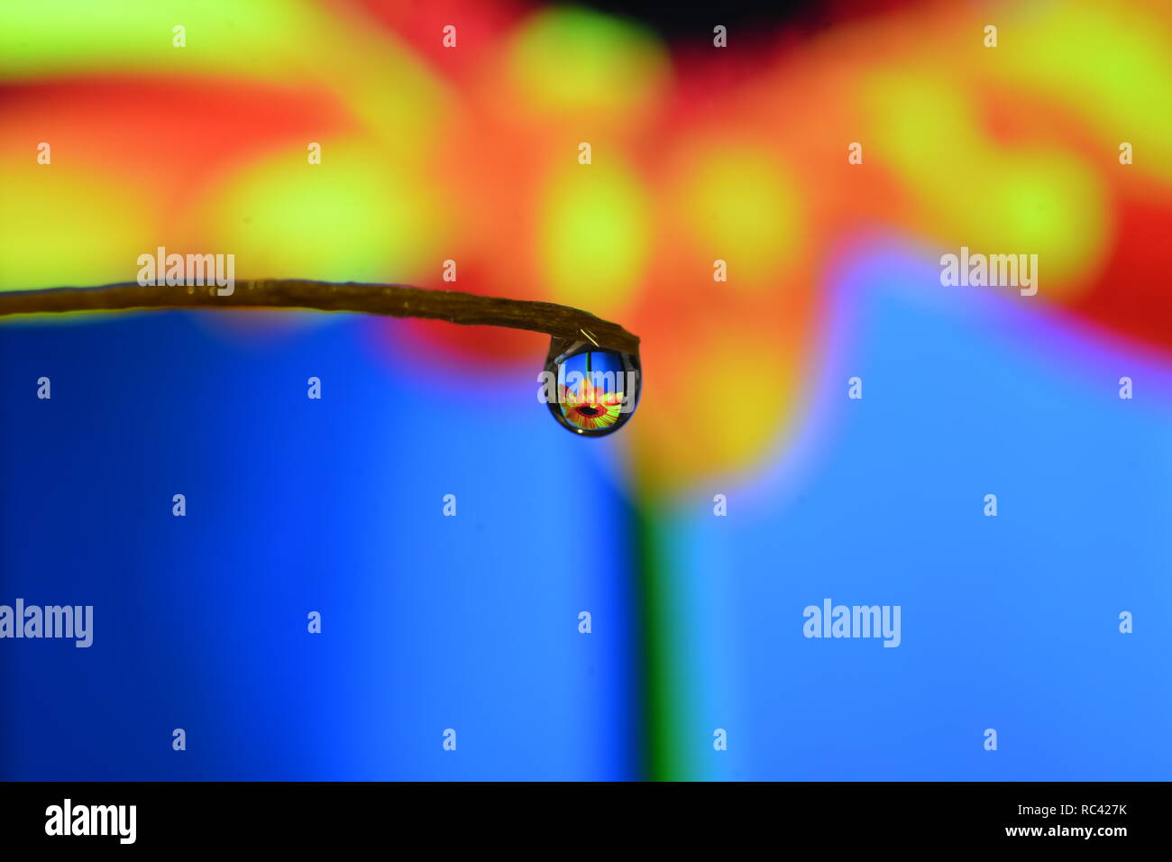 drop of water with reflection Stock Photo - Alamy