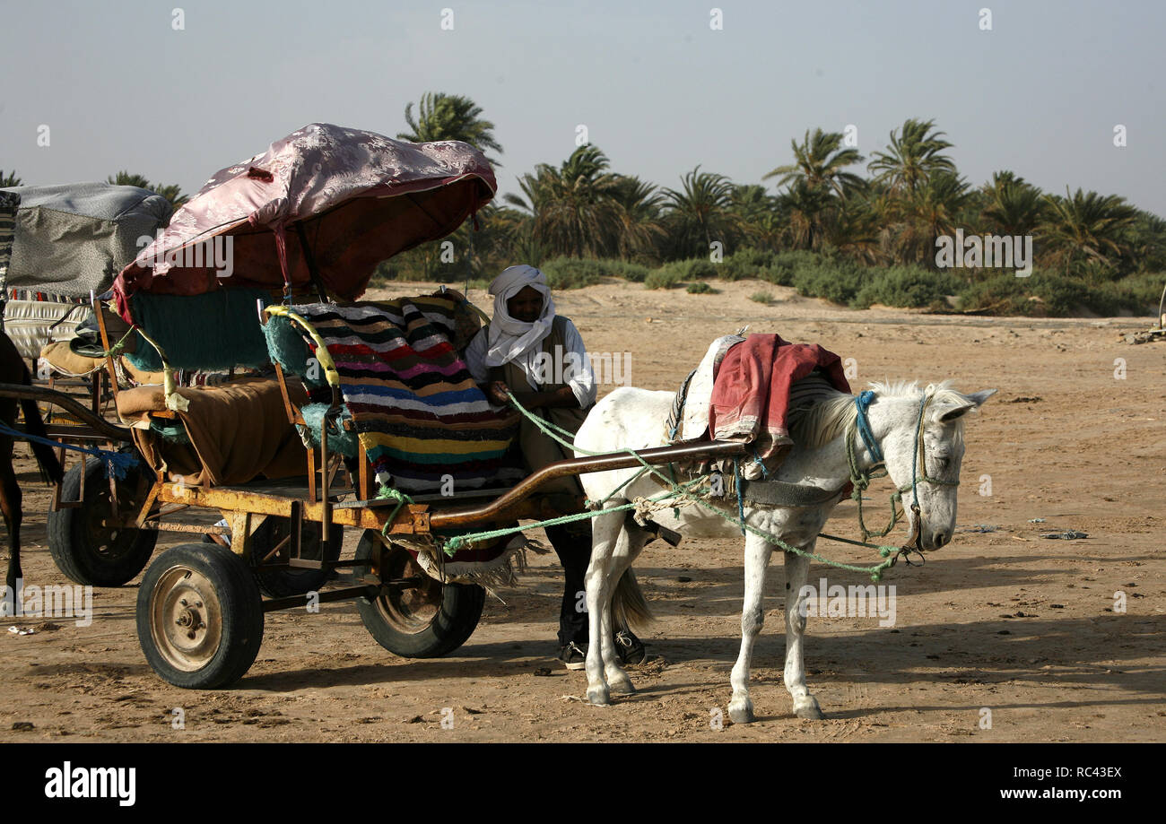A donkey, carriage and a man waiting for the customers near oasis Stock ...