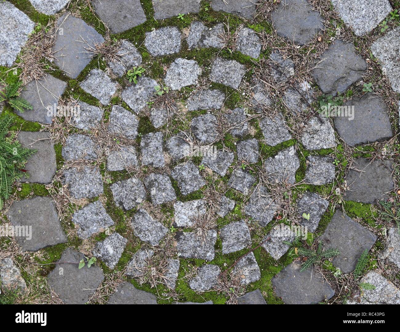 Close up surface of cobblestone in high resolution Stock Photo - Alamy
