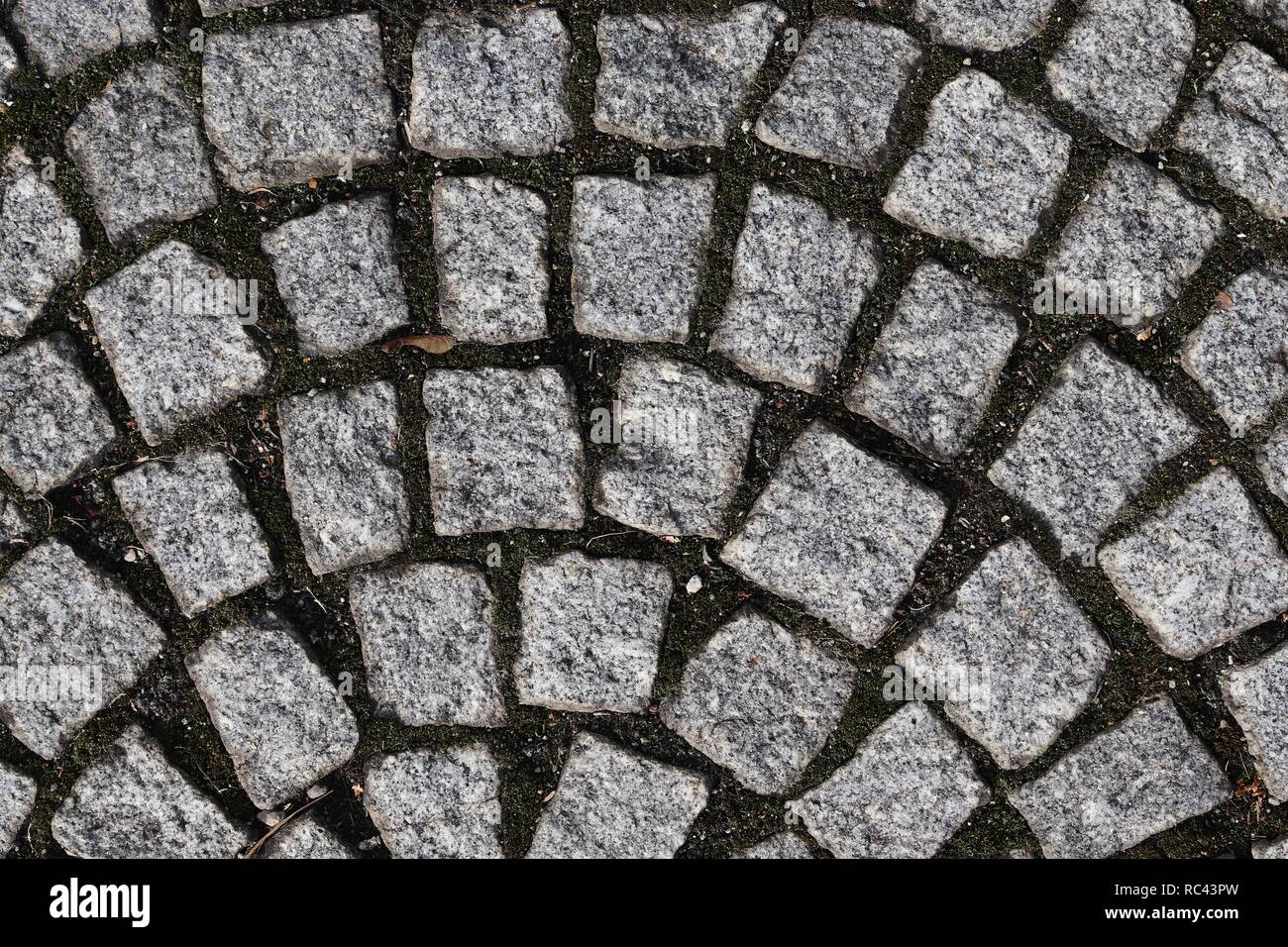 Close up surface of cobblestone in high resolution Stock Photo - Alamy