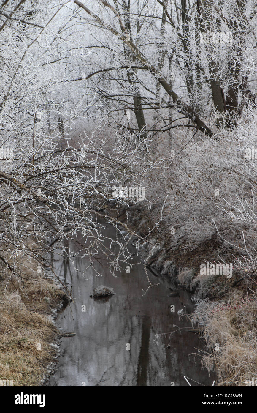 Frozen fog, the fog freezes on surface of environment when temperature ...