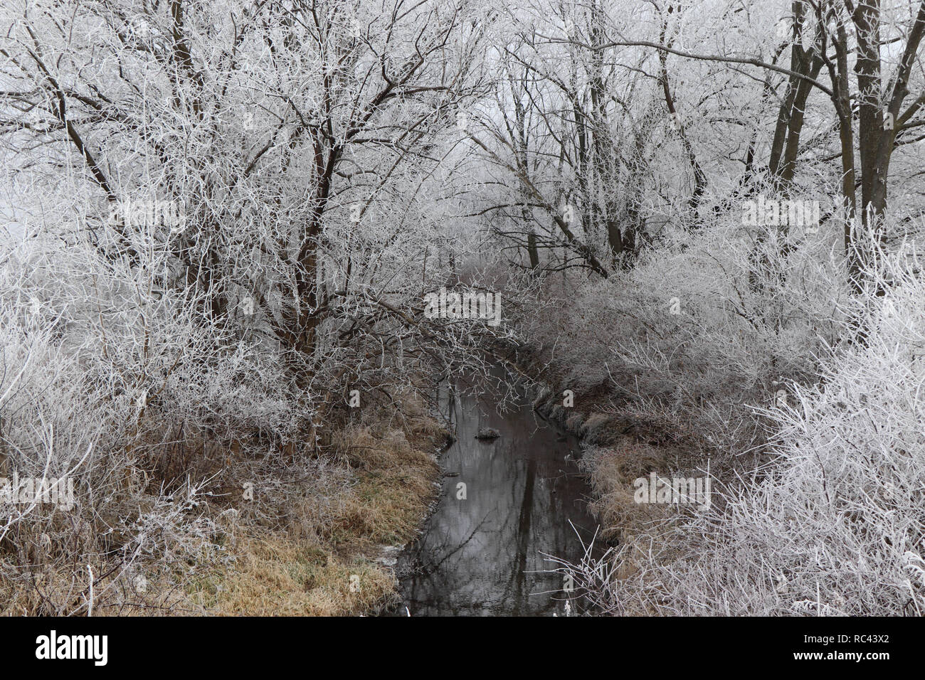 Frozen fog, the fog freezes on surface of environment when temperature ...