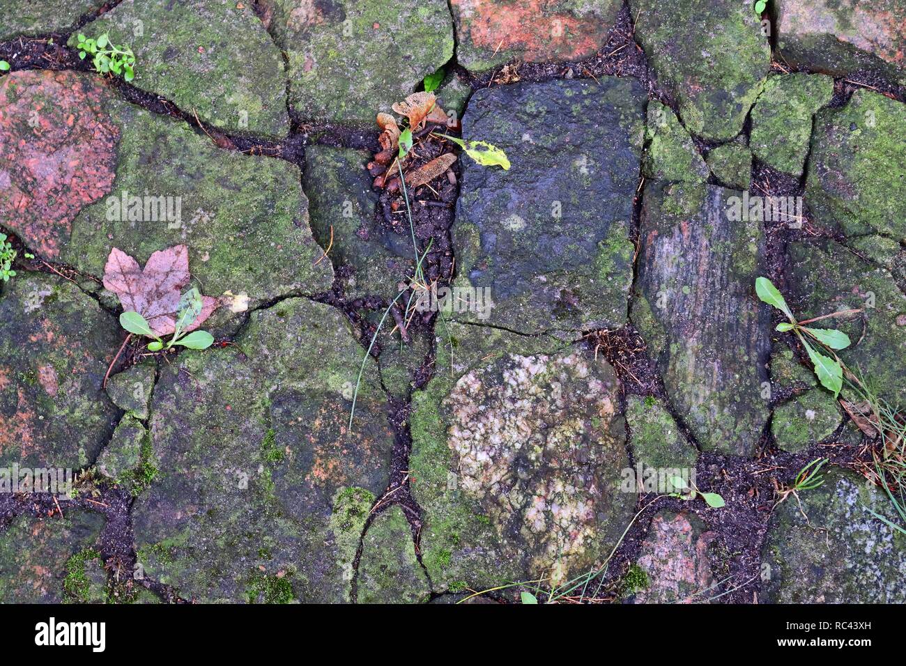 Close up surface of cobblestone in high resolution Stock Photo - Alamy