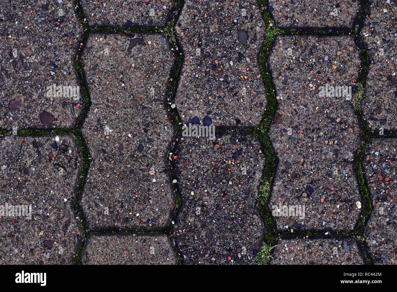 Close up surface of cobblestone in high resolution Stock Photo - Alamy