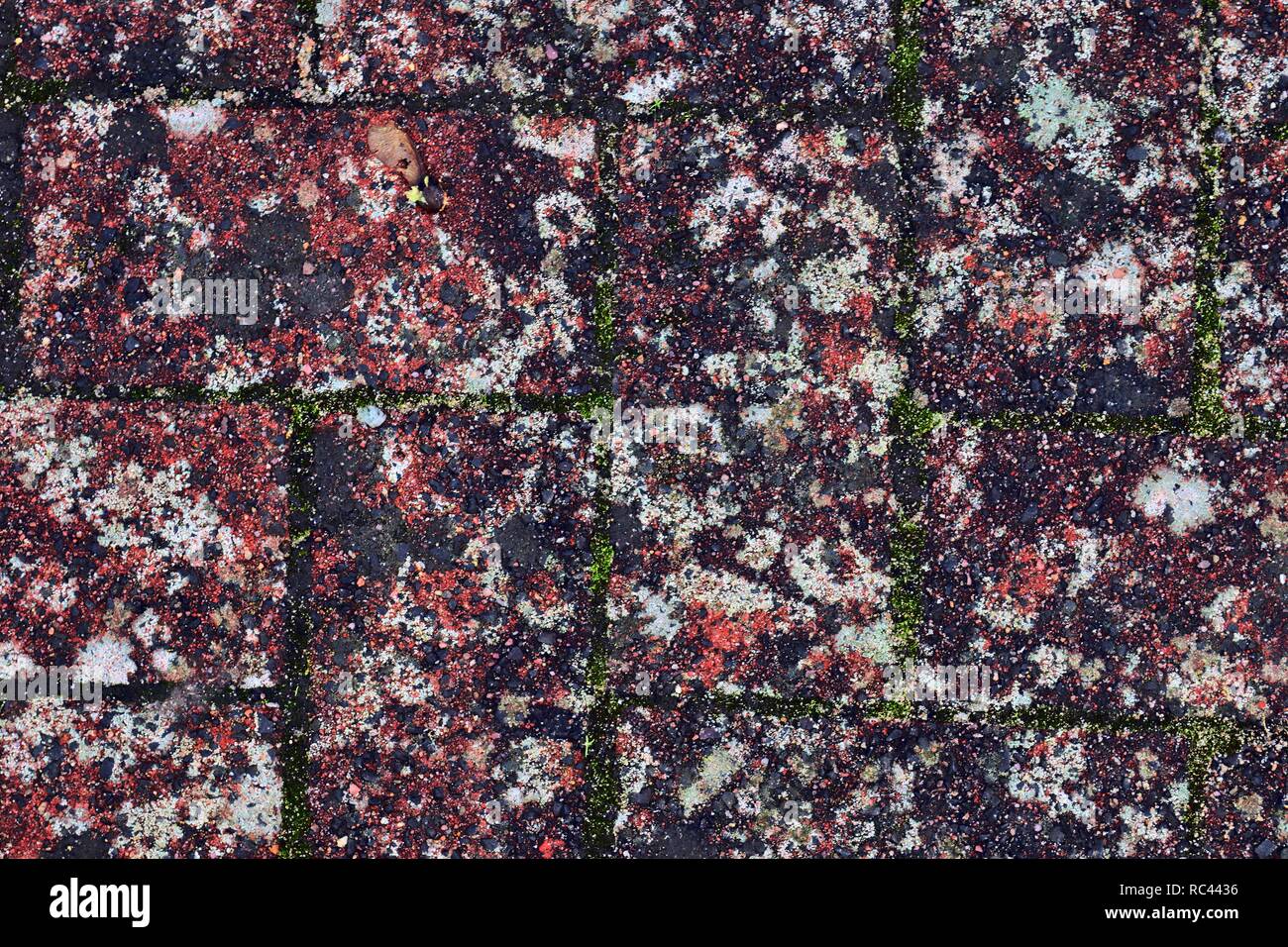 Close up surface of cobblestone in high resolution Stock Photo - Alamy