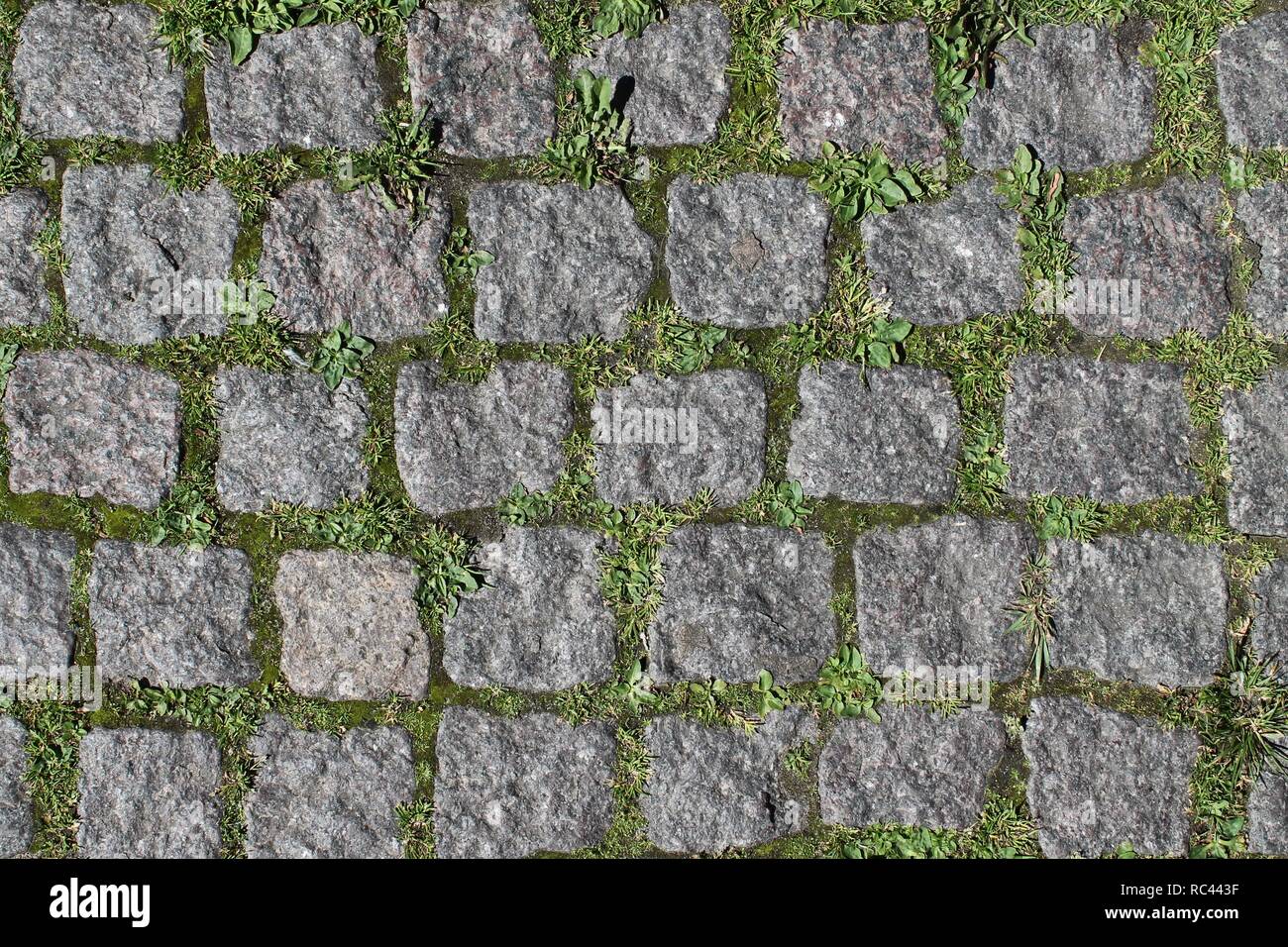 Close up surface of cobblestone in high resolution Stock Photo - Alamy