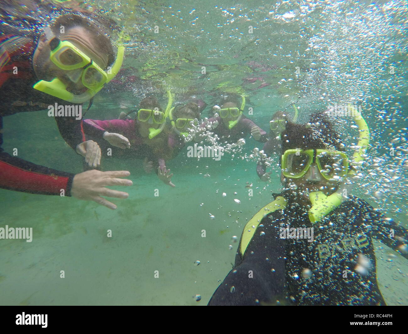 Group of people snorkelling Stock Photo - Alamy
