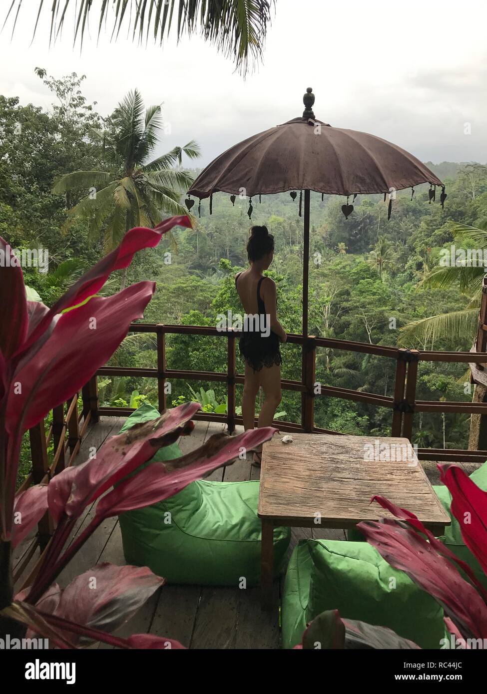 Tegalang rice field hi-res stock photography and images - Alamy