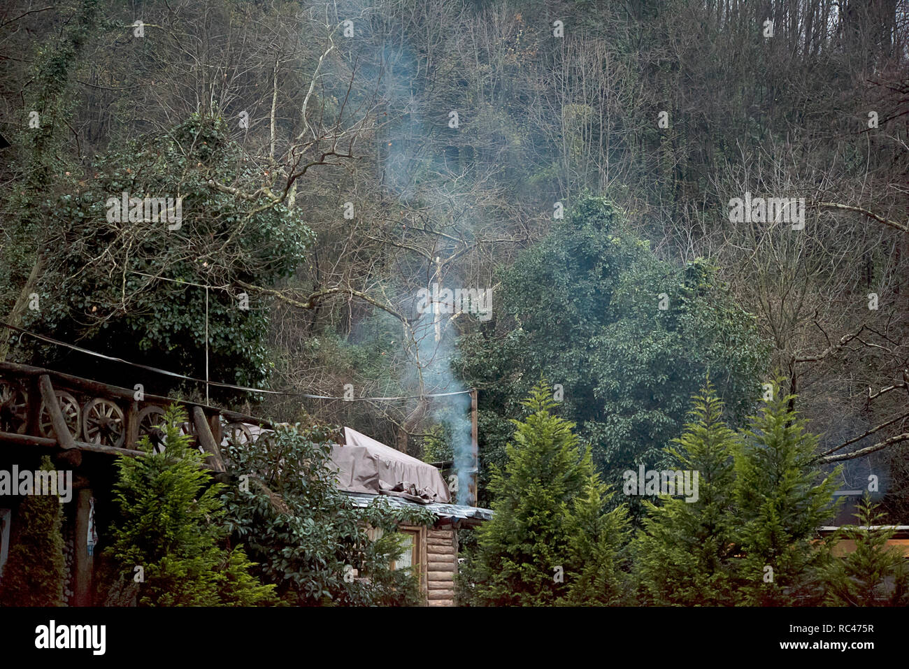 Pine forest snowfall winter hi-res stock photography and images - Alamy