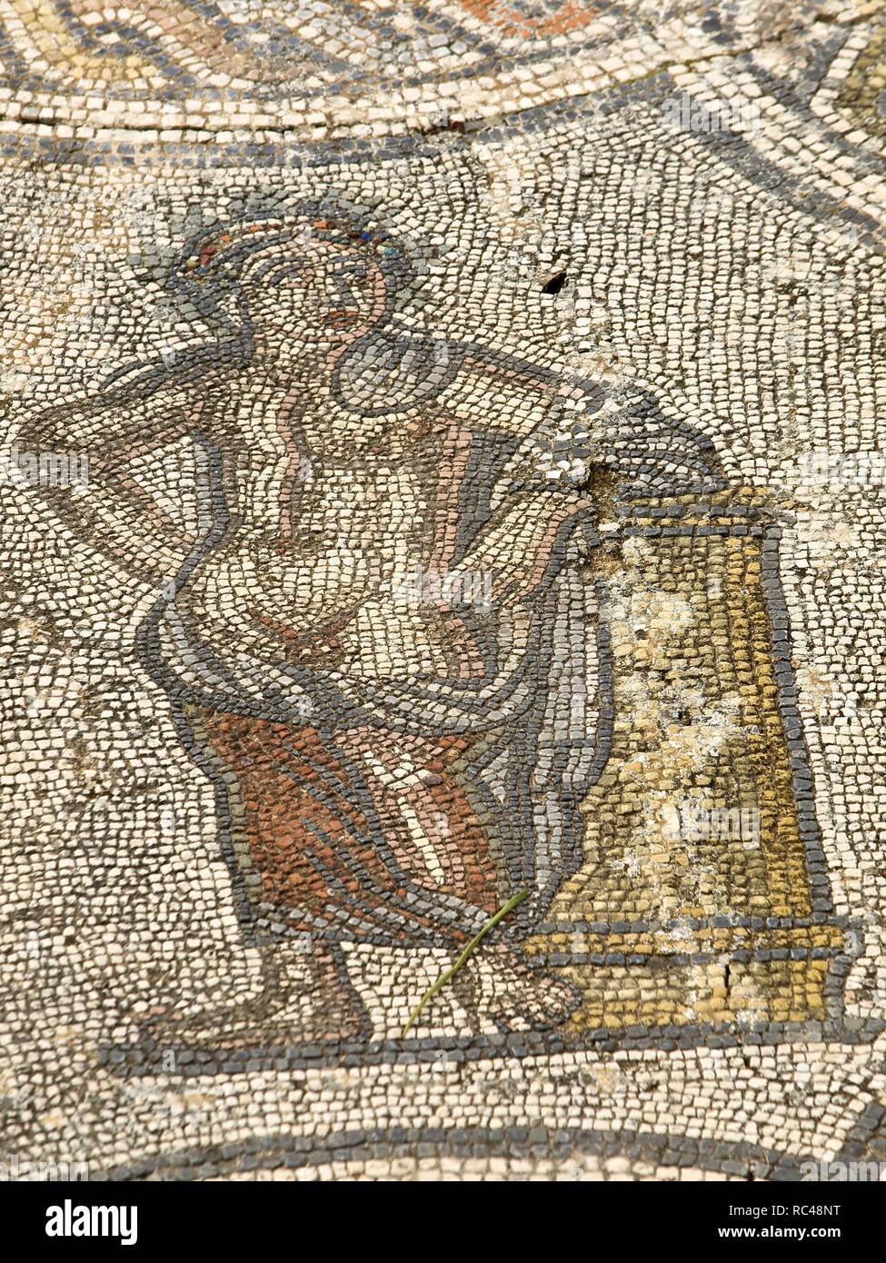 Mosaicos de la casa de Baco.Ciudad Romana de Volubilis(II d.c ...