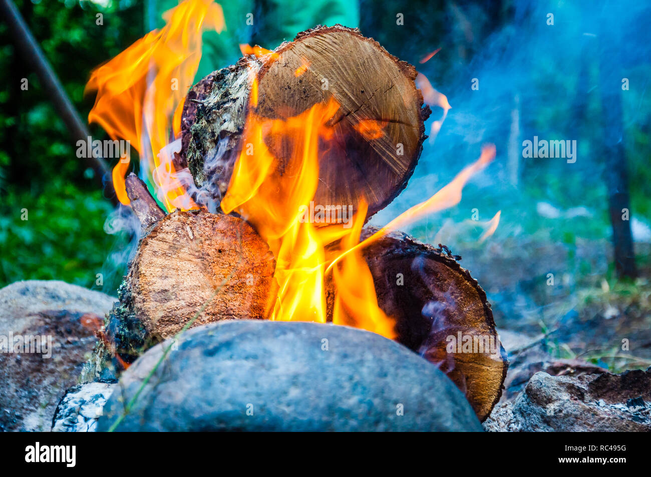 Hot vibrant flame of the burning firewood logs lying on outdoor ...