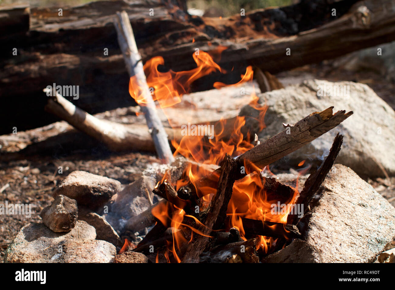 Campfire forest hi-res stock photography and images - Alamy